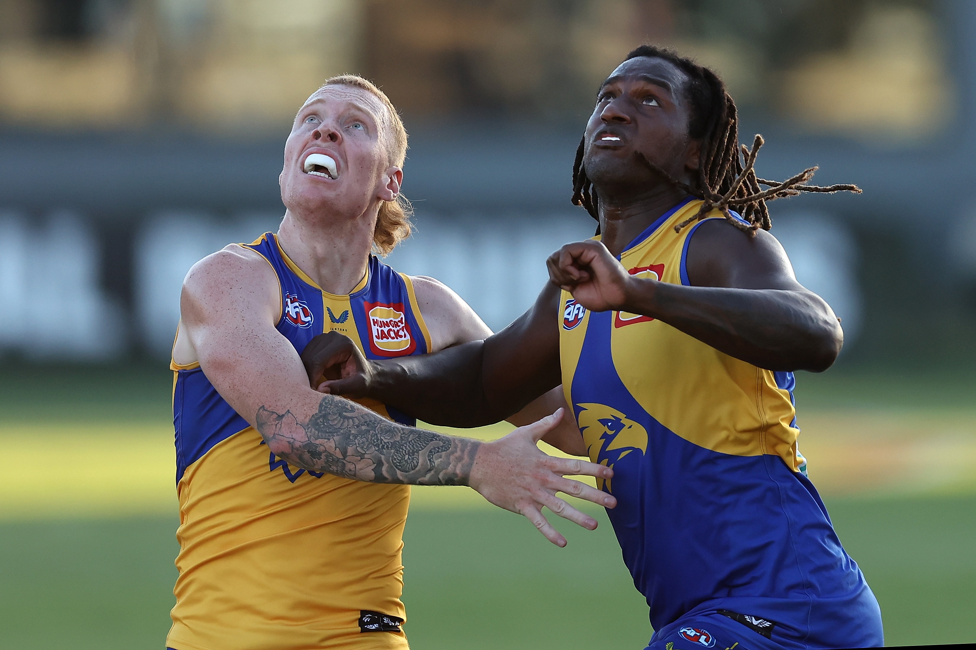 Medical room: The full AFL injury list, R1