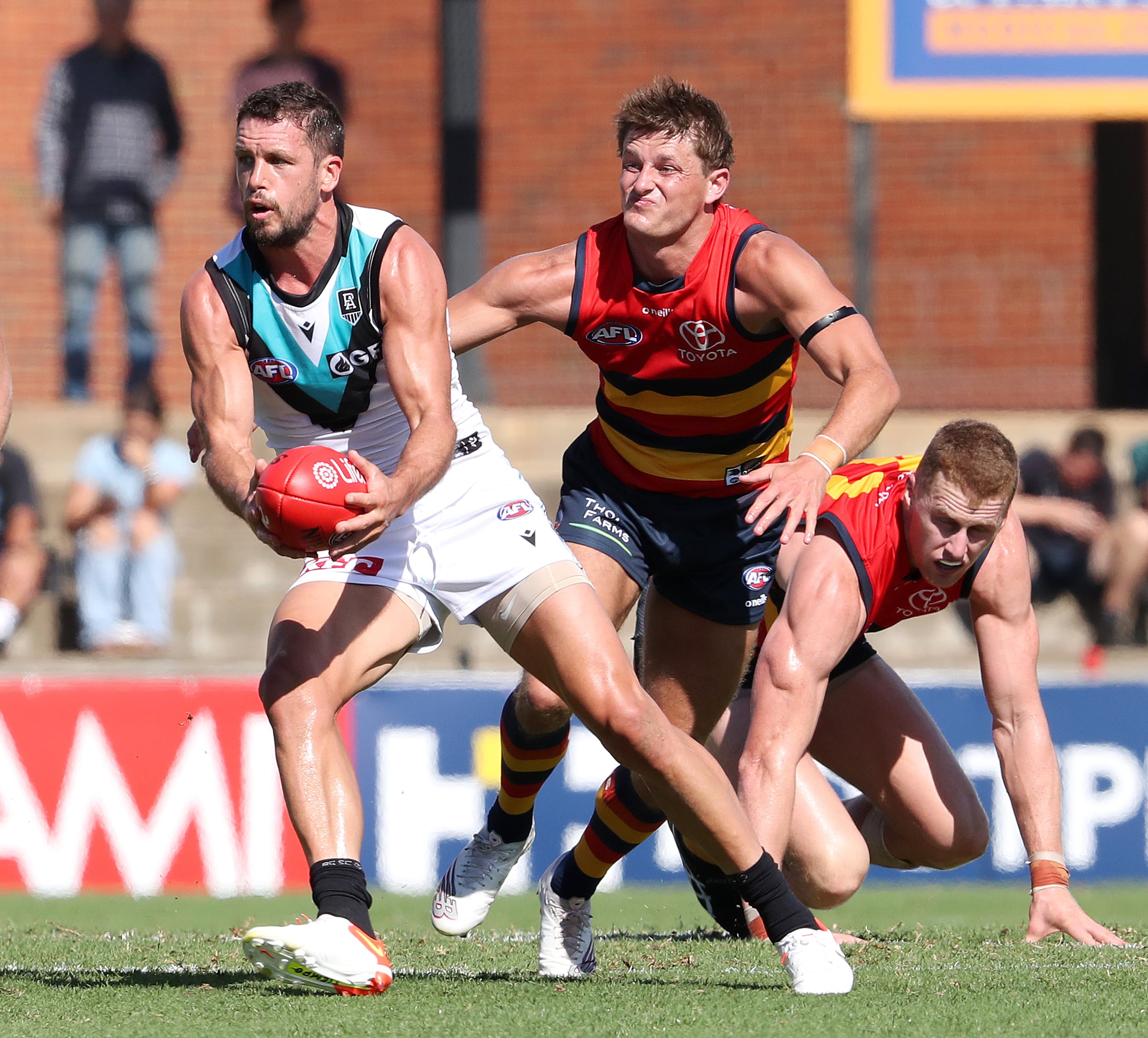 'I definitely had queries': Crow feared his AFL career might be over