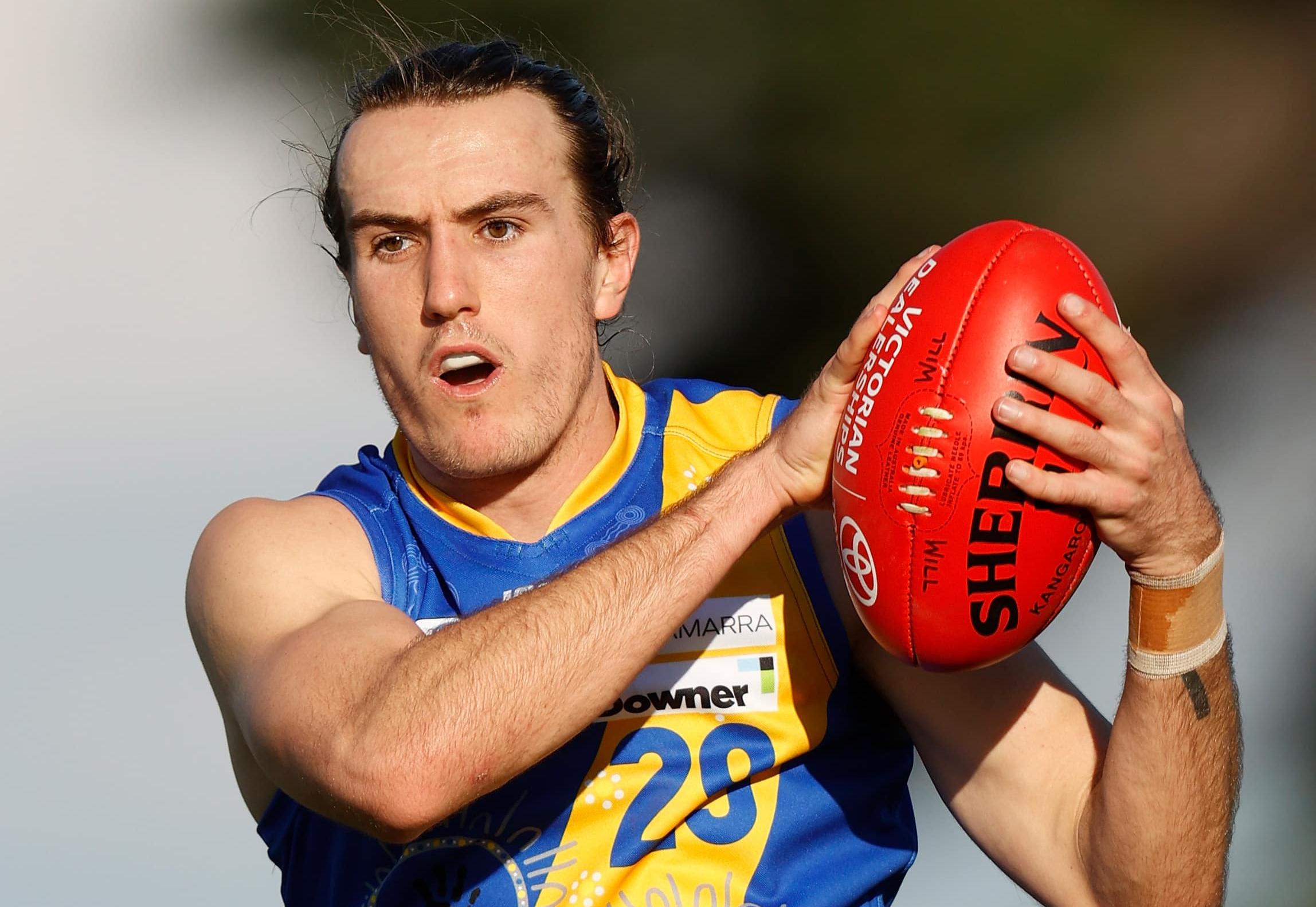 VFL Records Rd16-17: Hawks reach 500 as Seagull hits the scoreboard