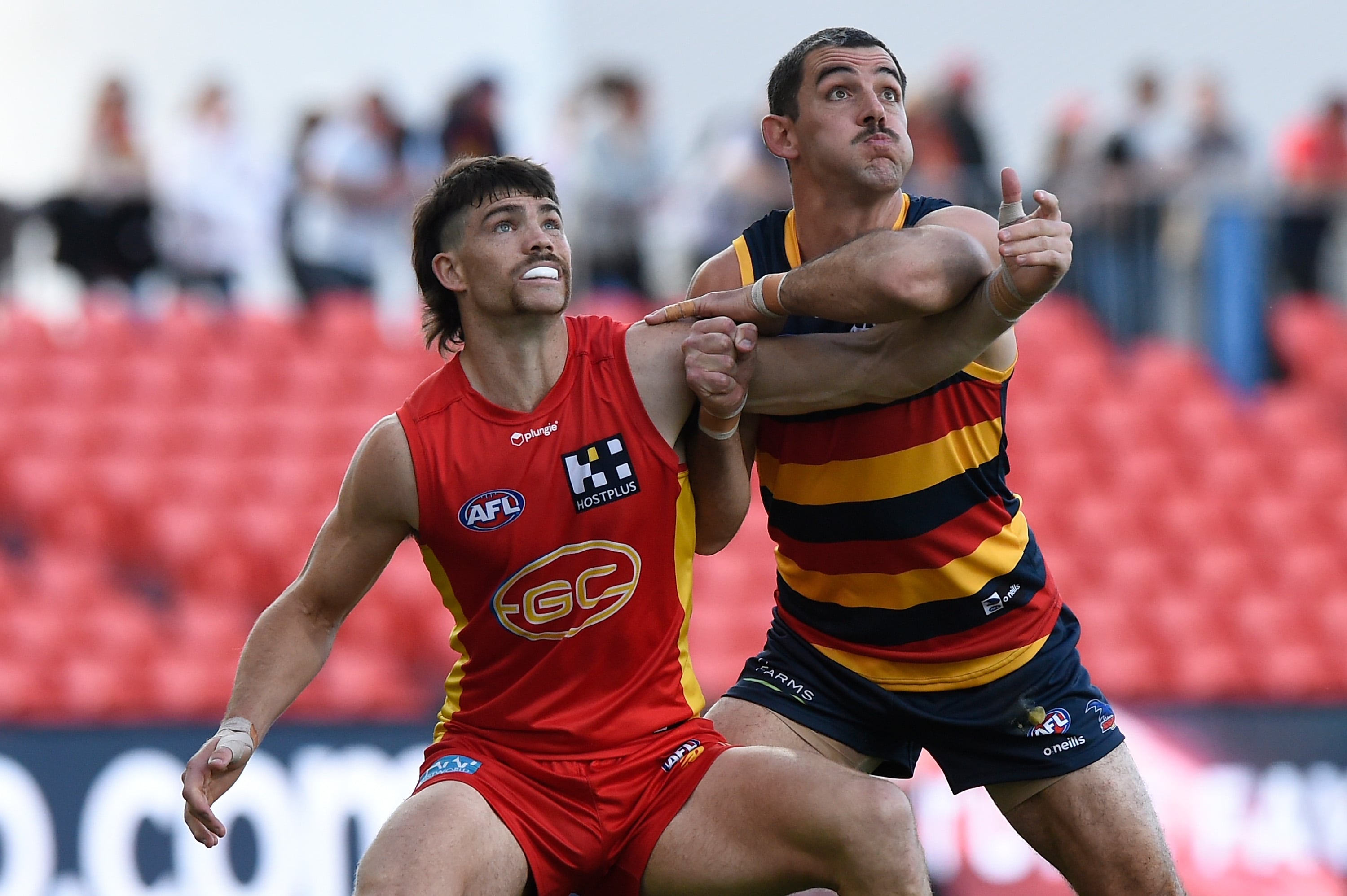Crows provide update on veteran forward ahead of Cats clash