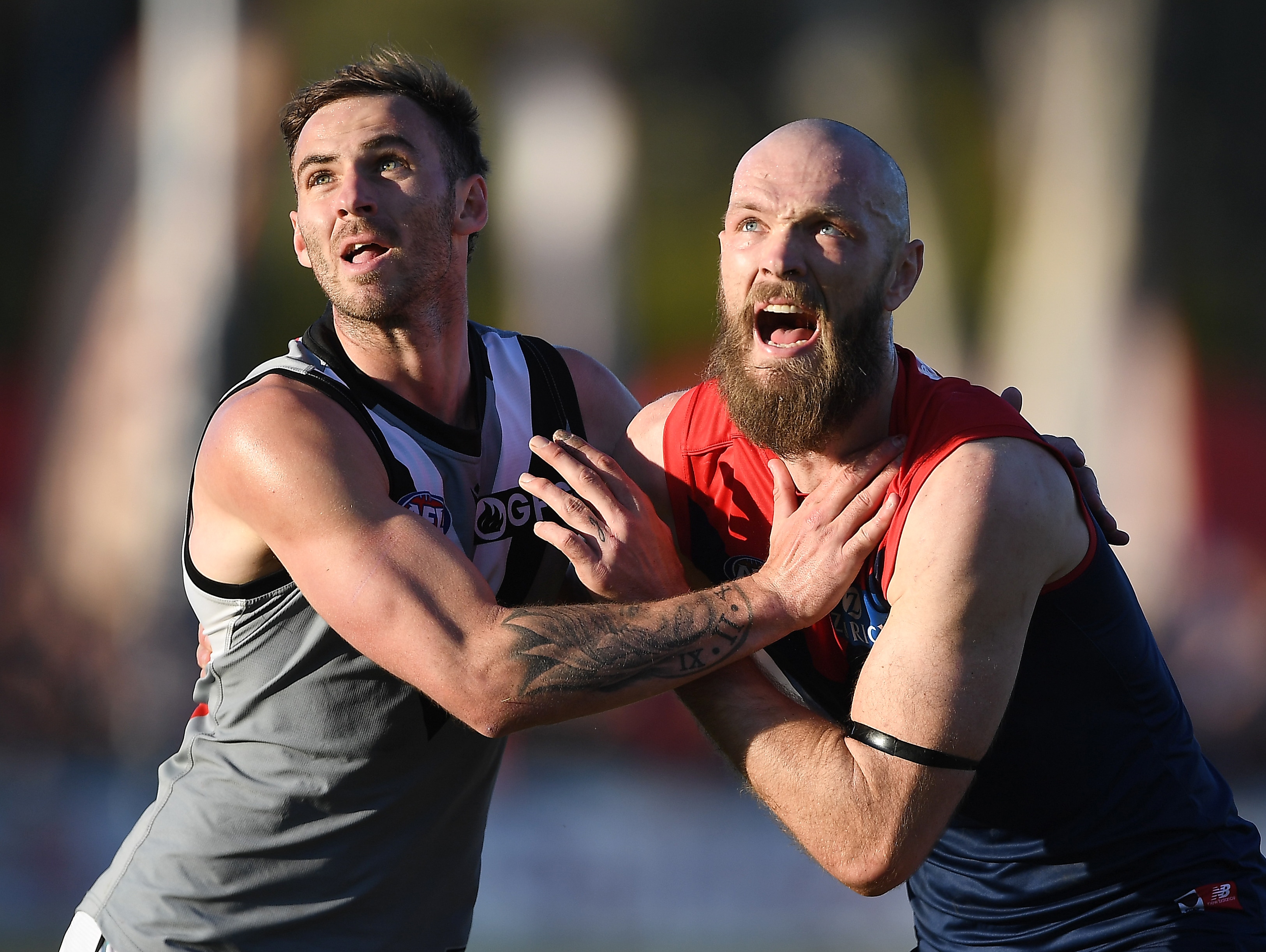 Power move: Port tall's remarkable rise to AFL's No.1 ruck