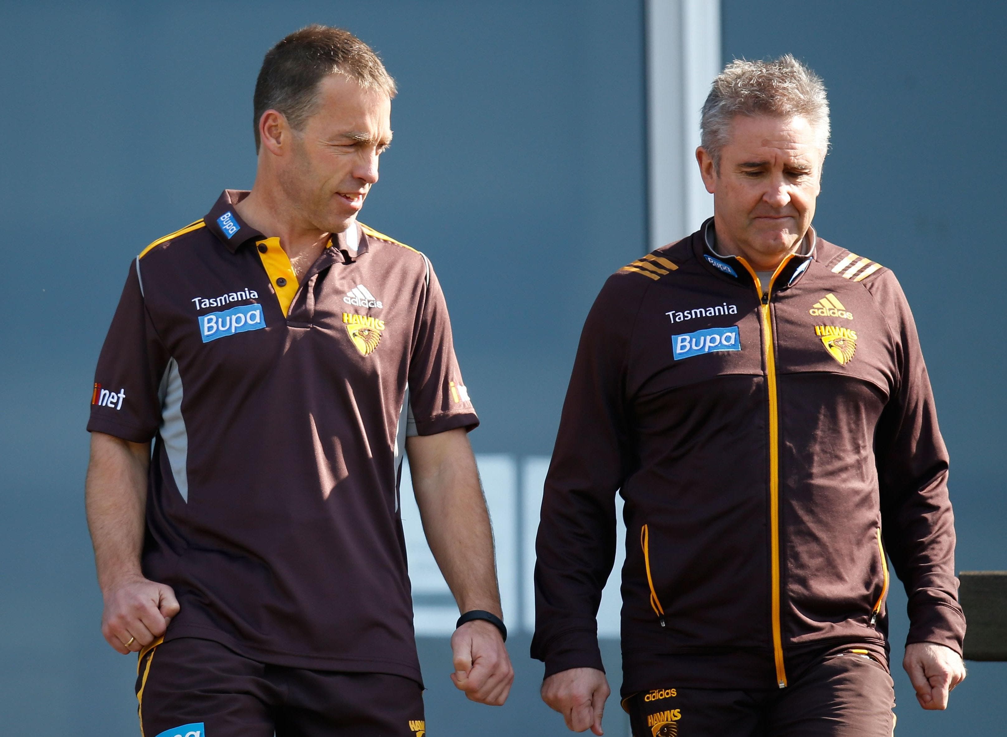 AFL releases terms of reference for Hawks probe, reveals end date