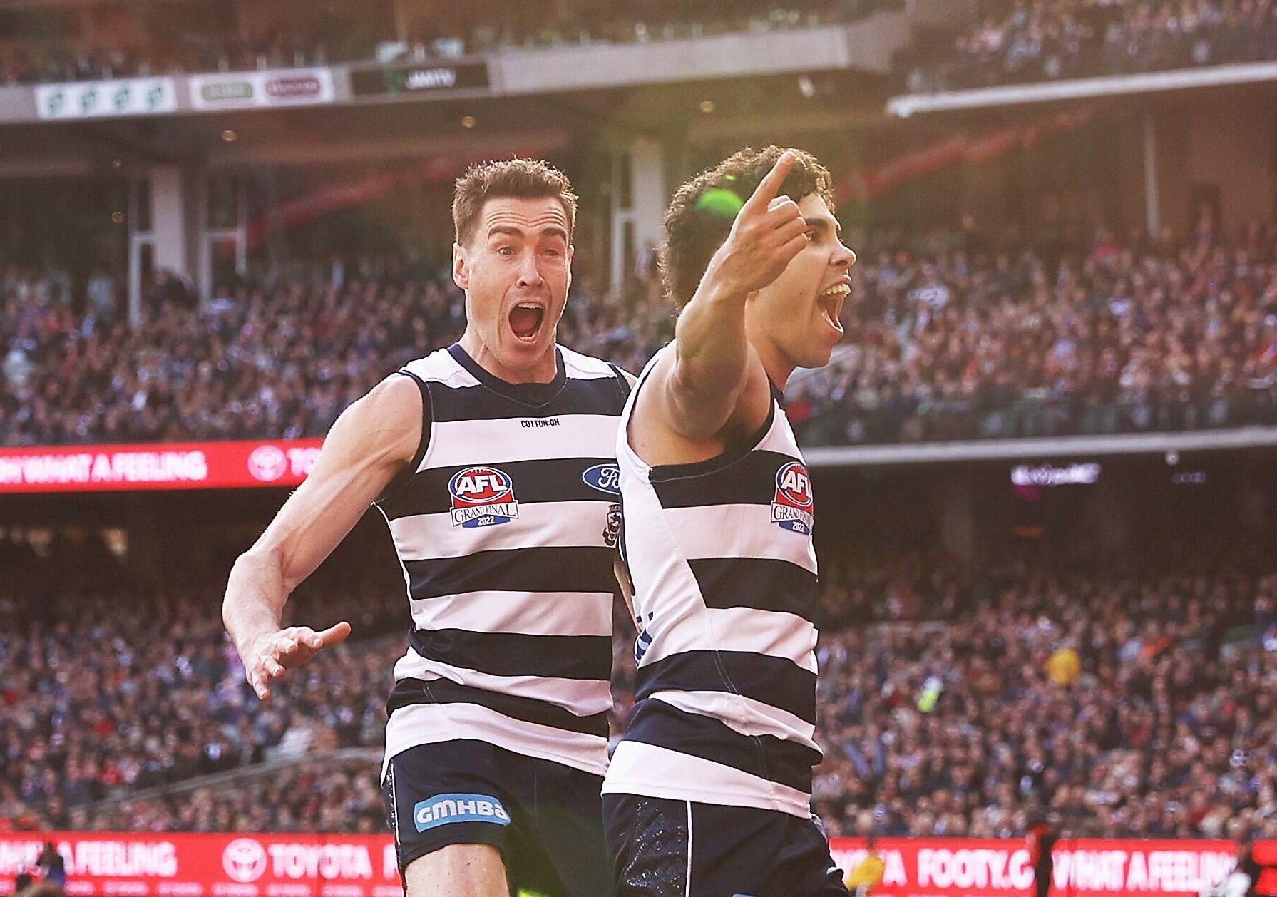 Super Stengle, Danger brings his best: Every Cats player rated
