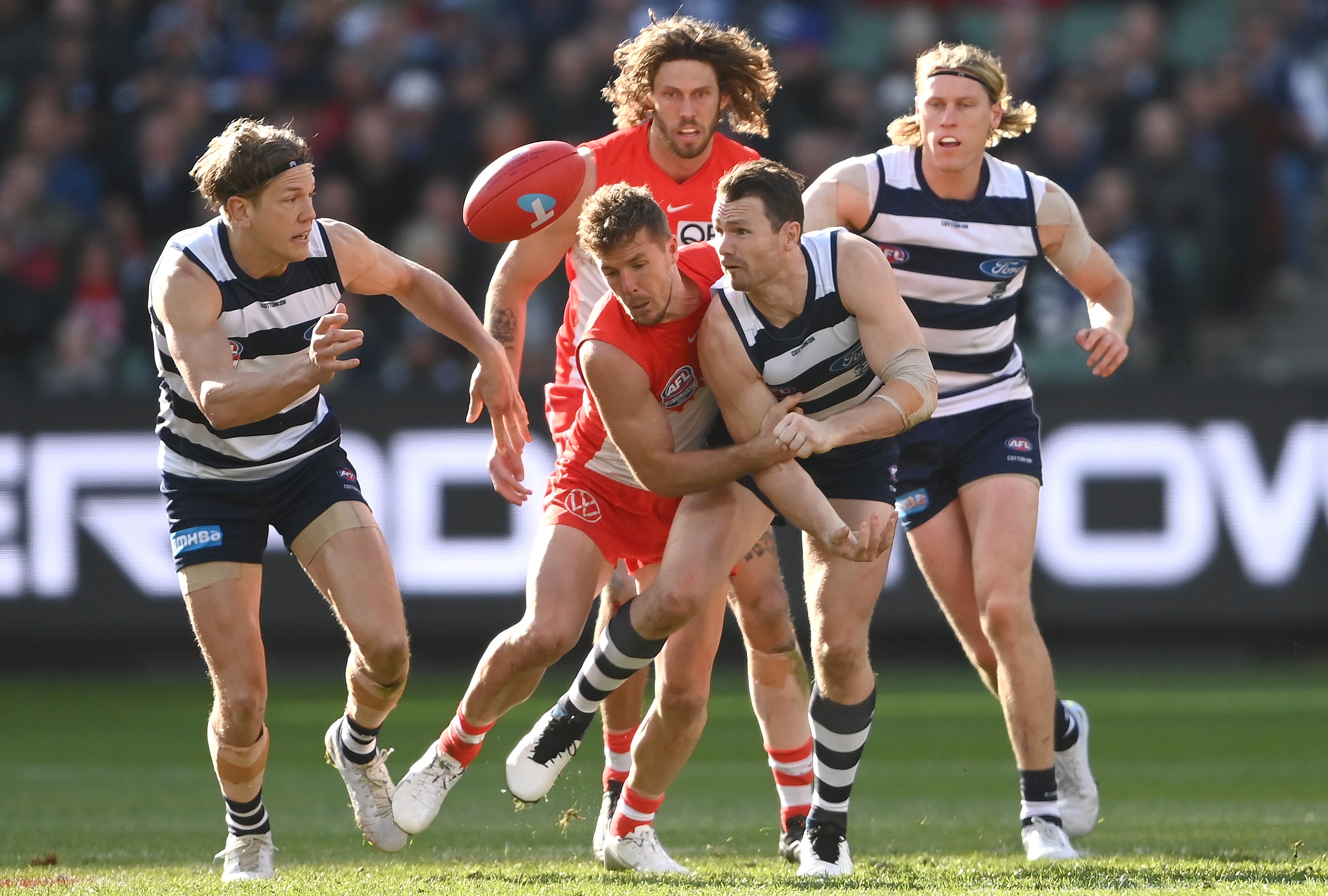 Cats prepare for 'daunting' battle with Swans despite external hype