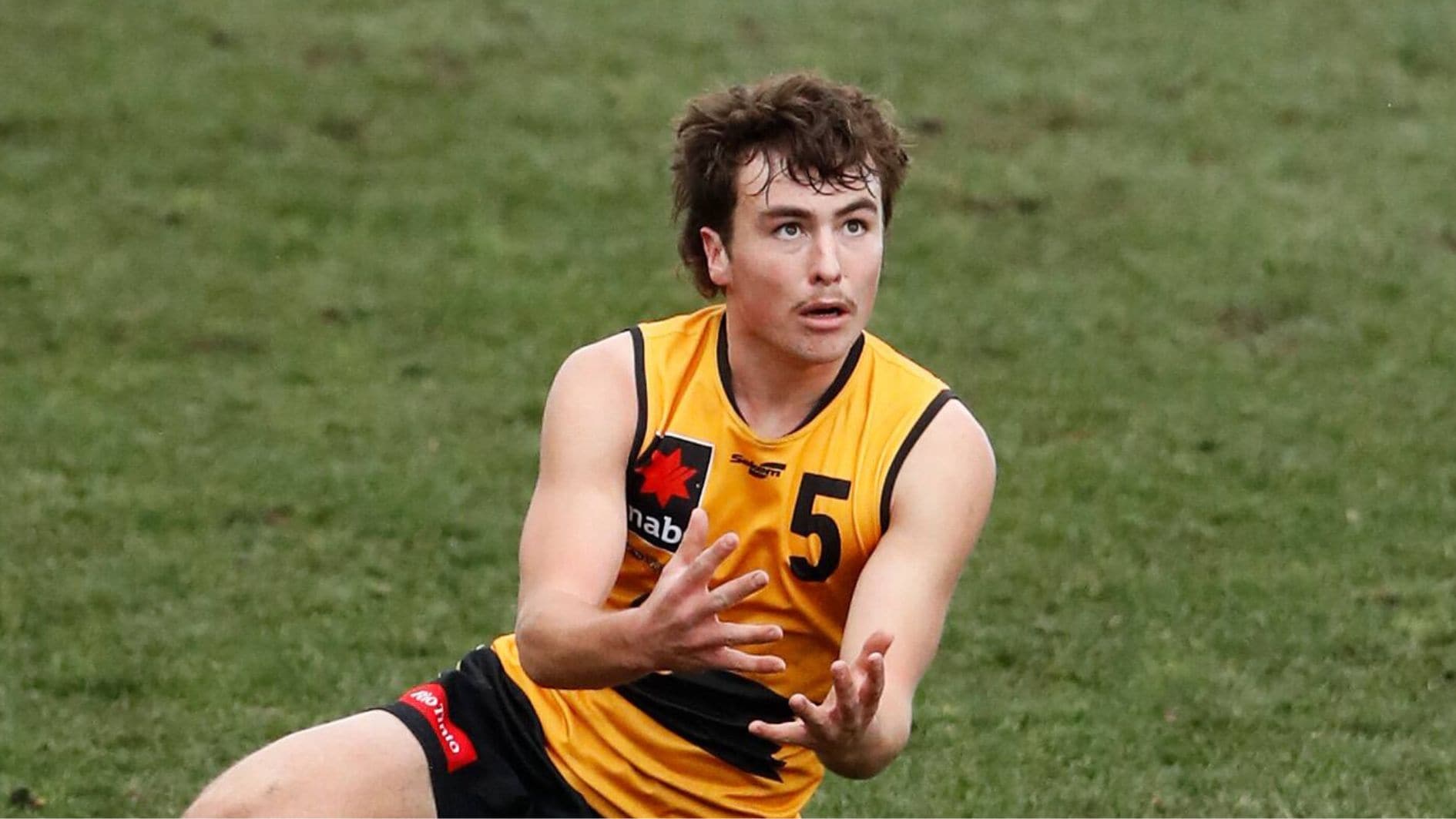 Draft prospect: Steely Green