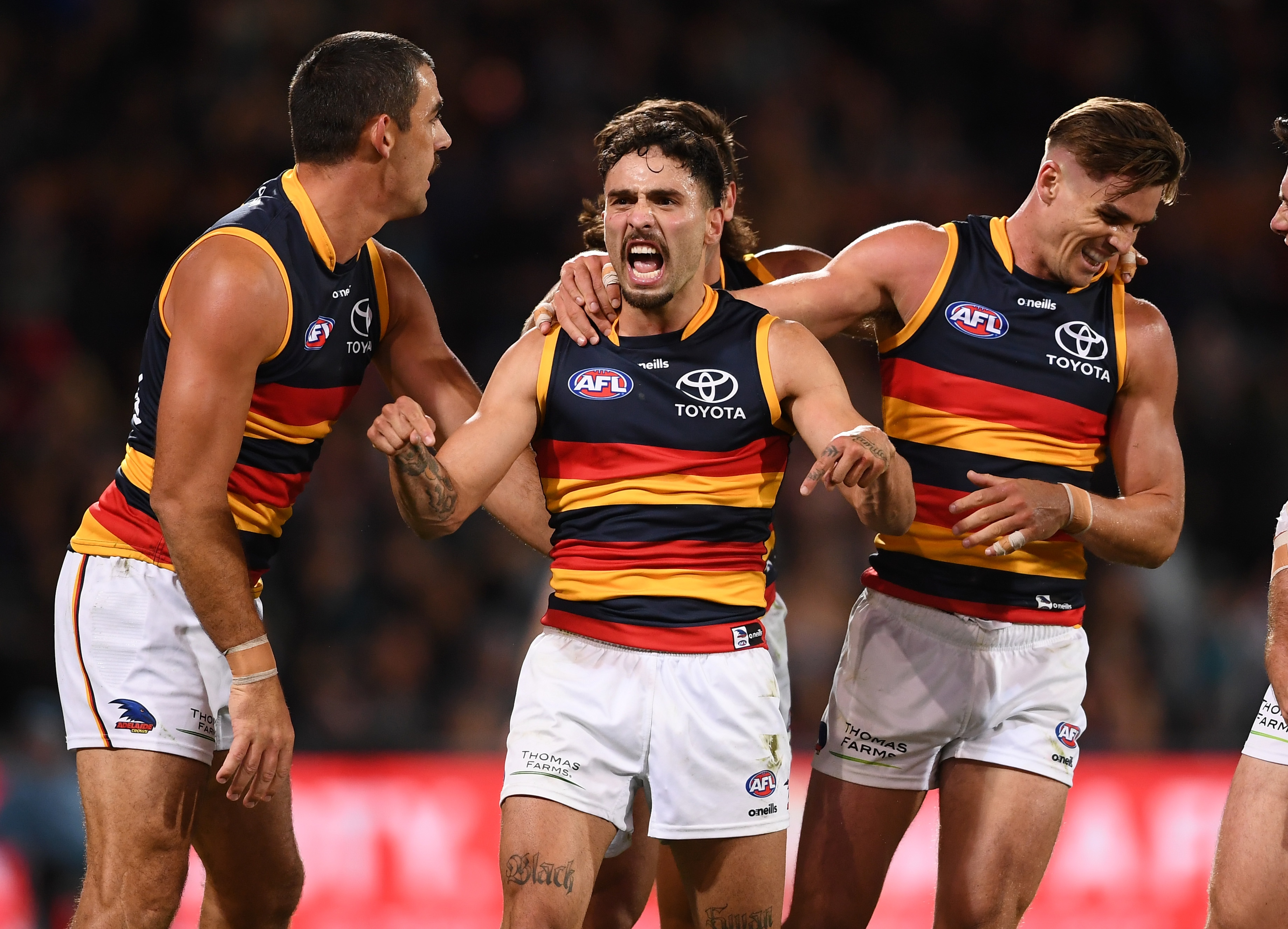 A record to Crow about: Why Adelaide would shape as finals danger