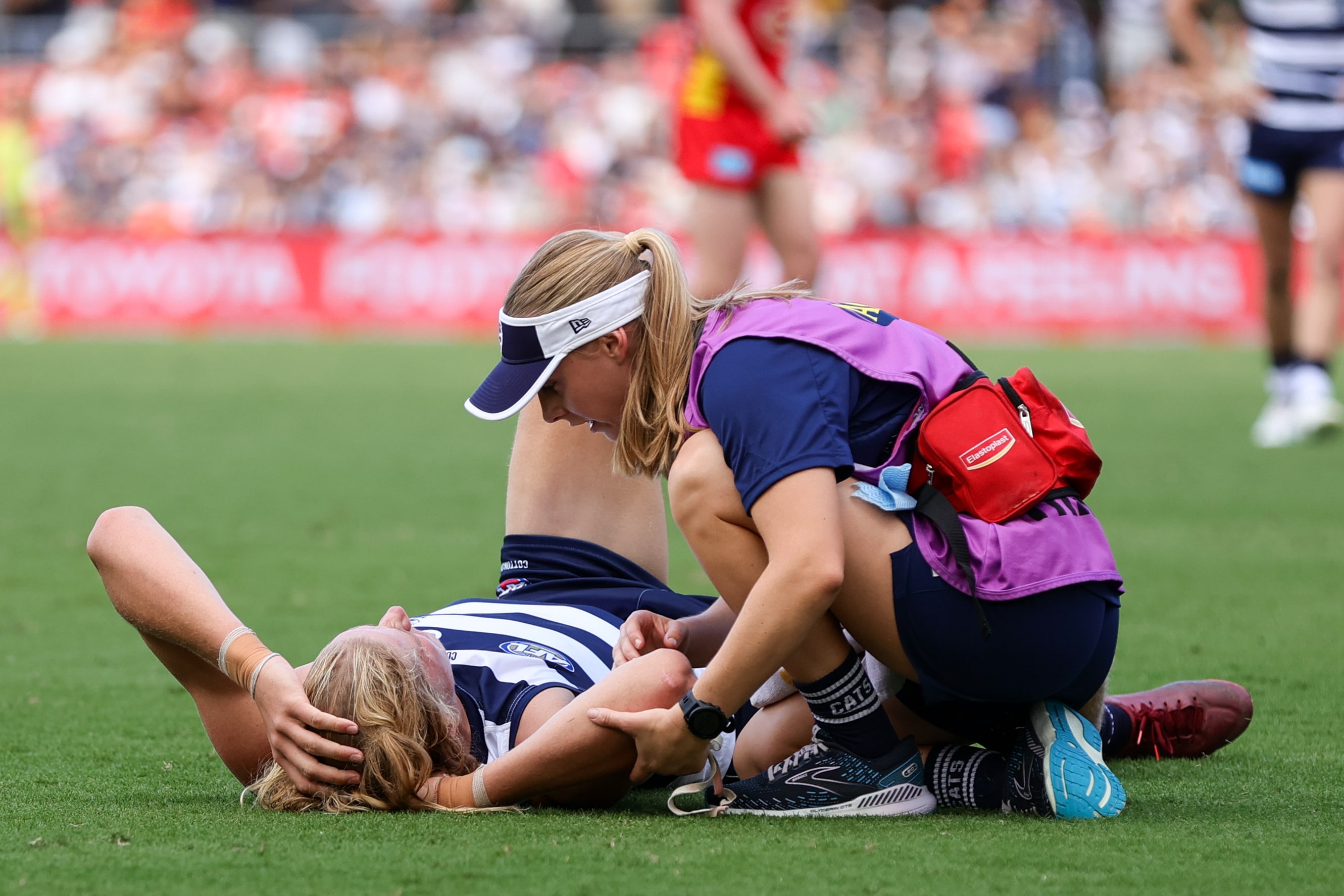 Concussion outs Cats gun, veteran could face Hawks