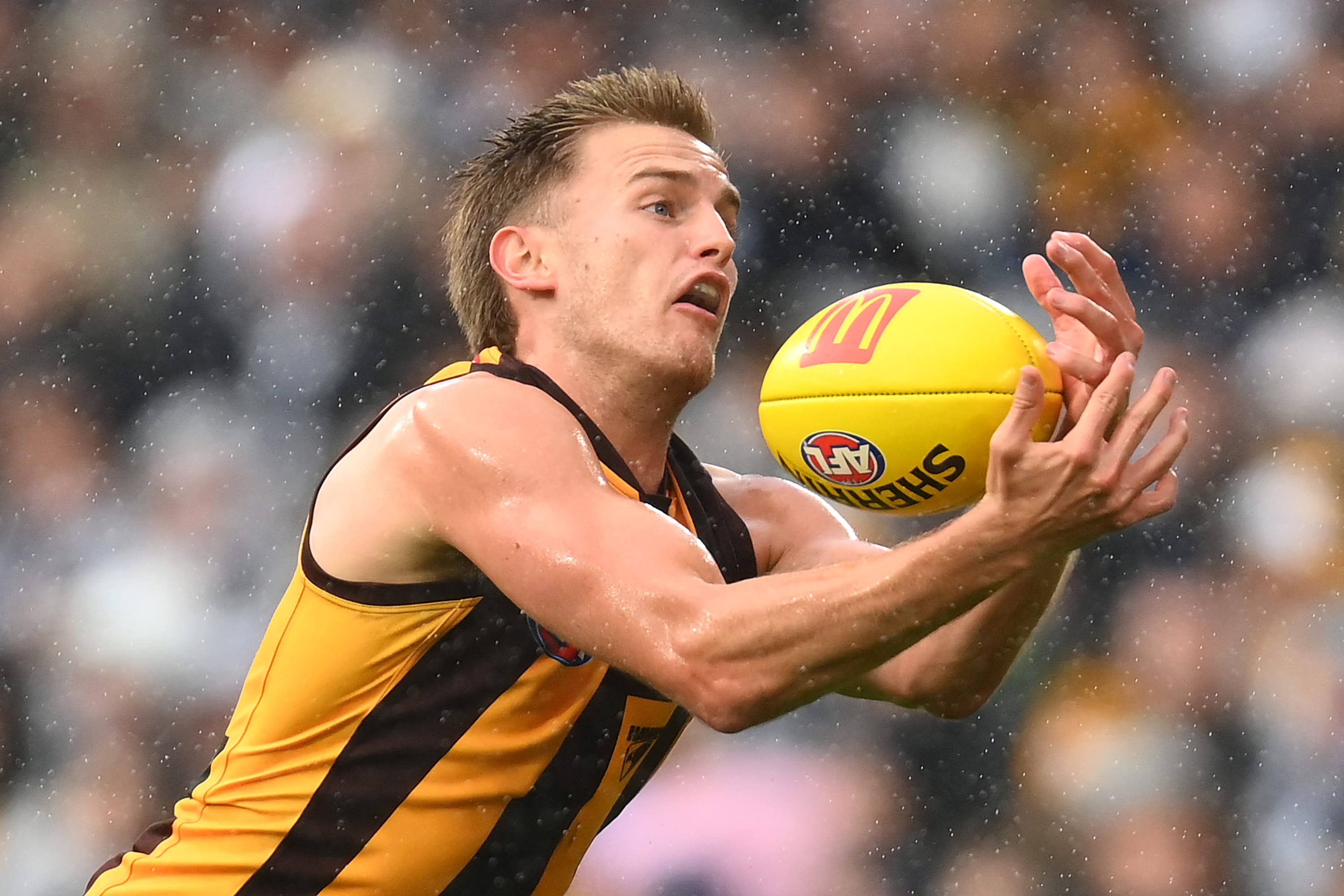 Stream your team: Watch VFL, VFLW, SANFL and WAFL games LIVE and FREE