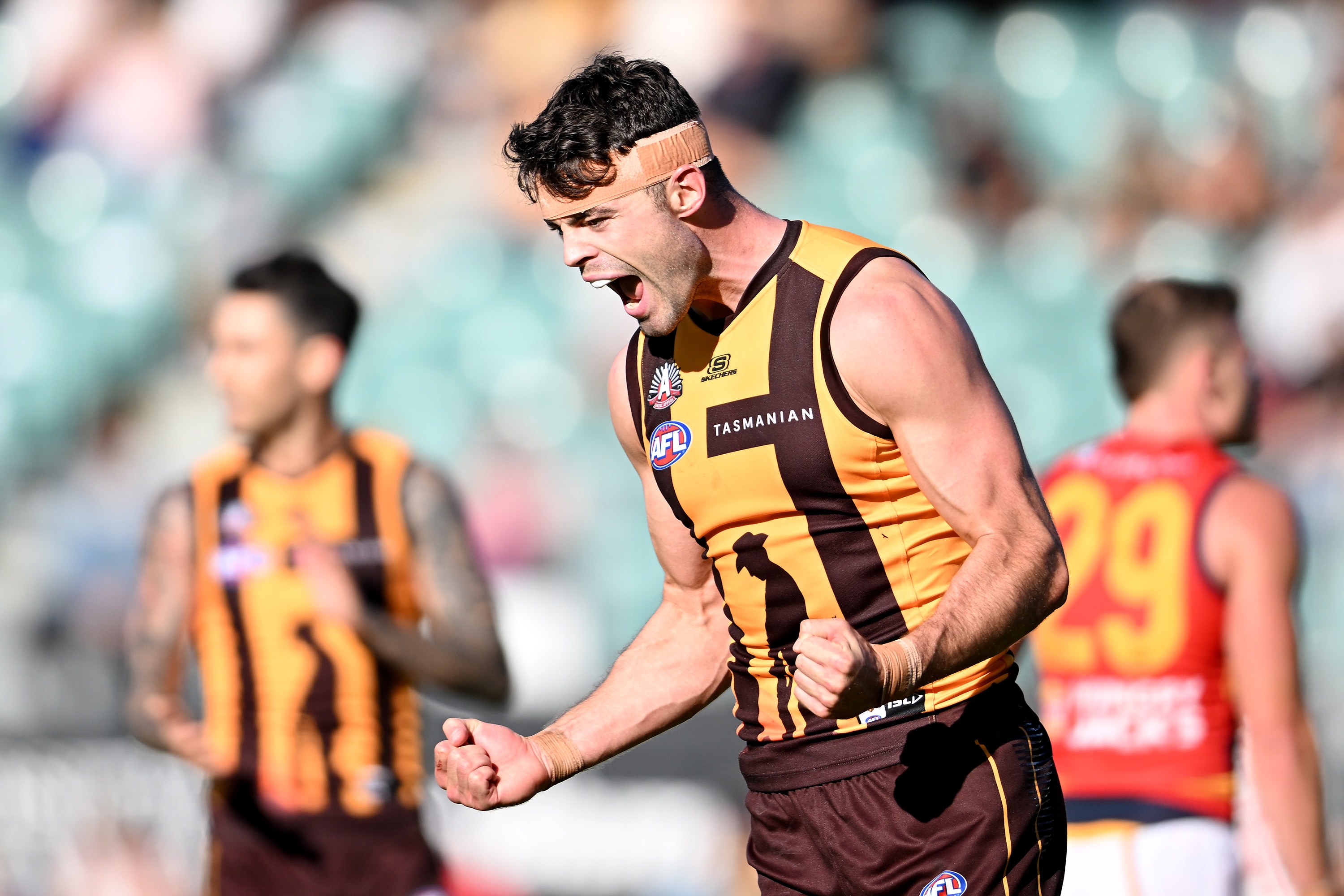 The secret superstar-stopper: Irish Hawk's stunning breakout burst