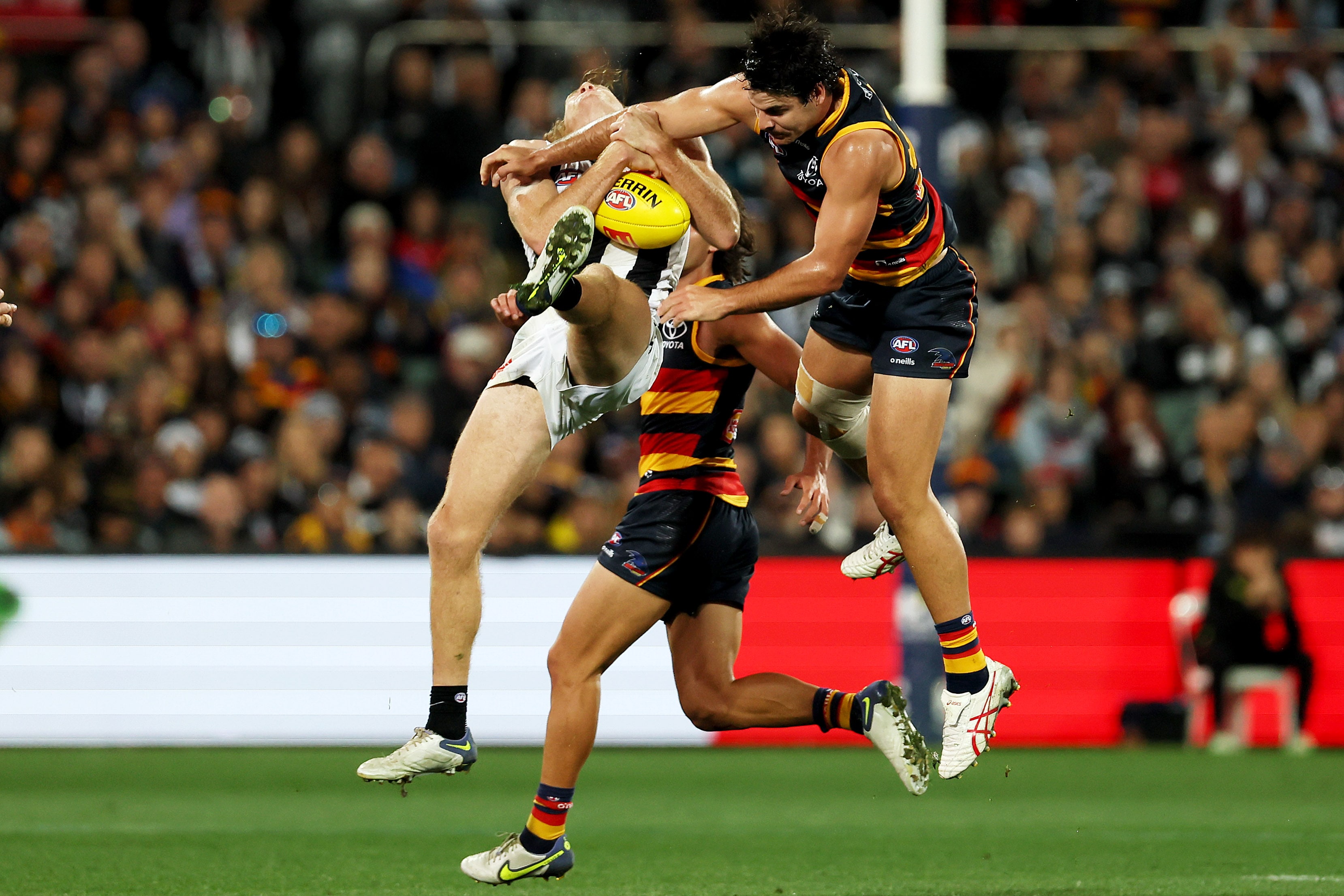 AFL admits umpiring error over Murphy non-call