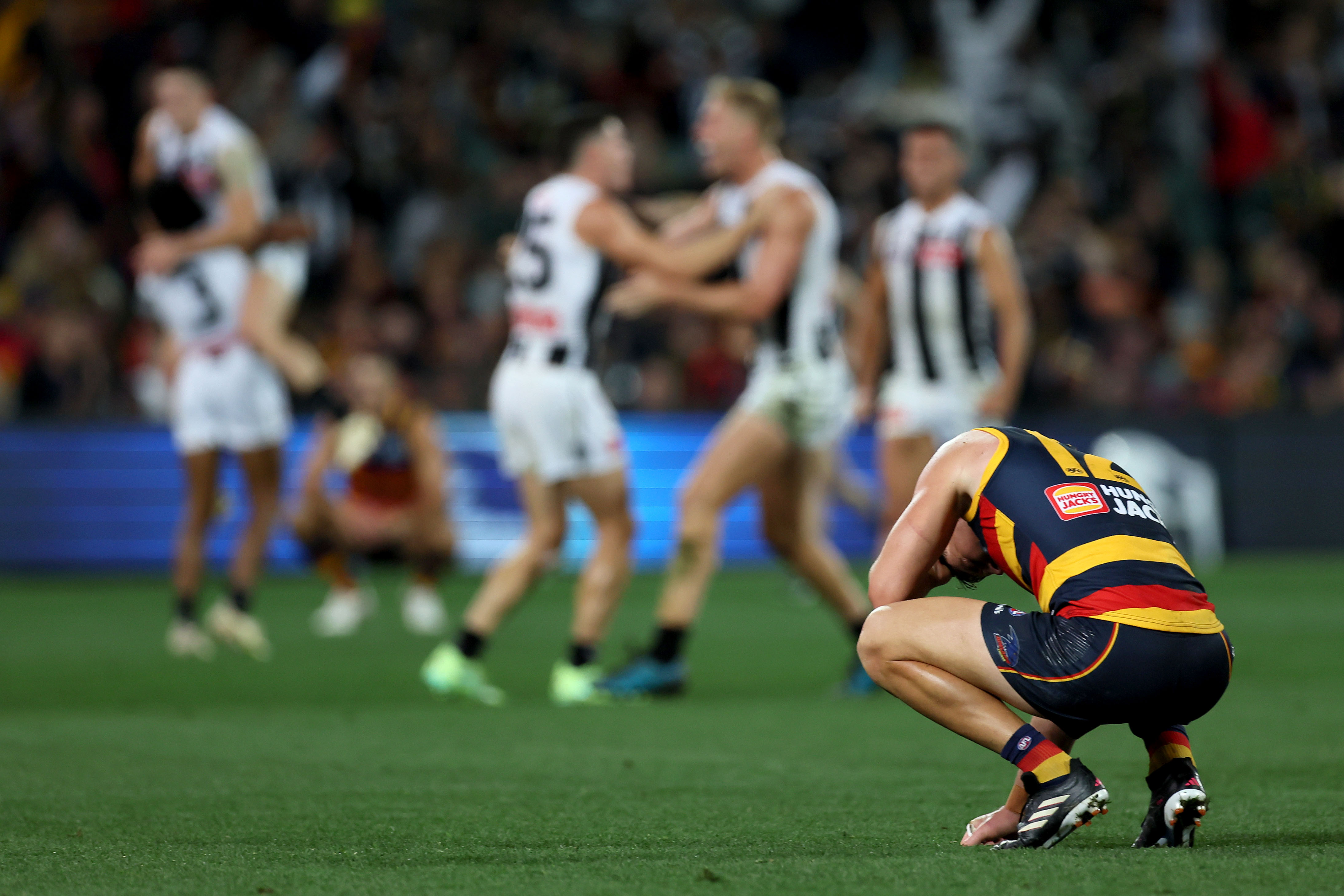 'We executed really well': Crows positive after crushing loss