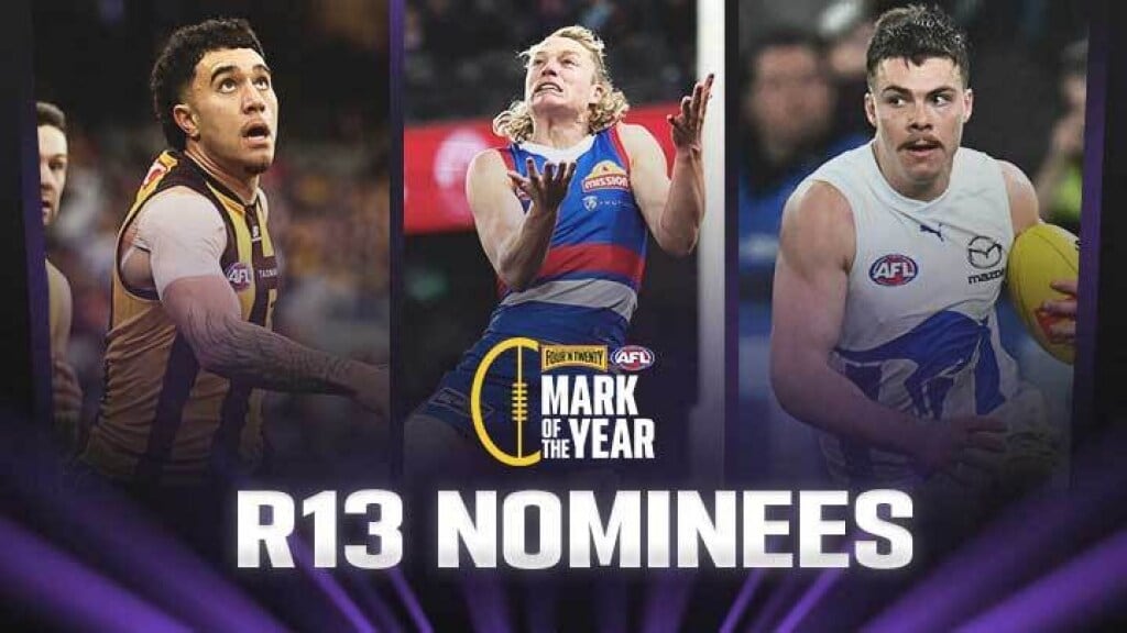 AFL Mark of the Year: Round 13