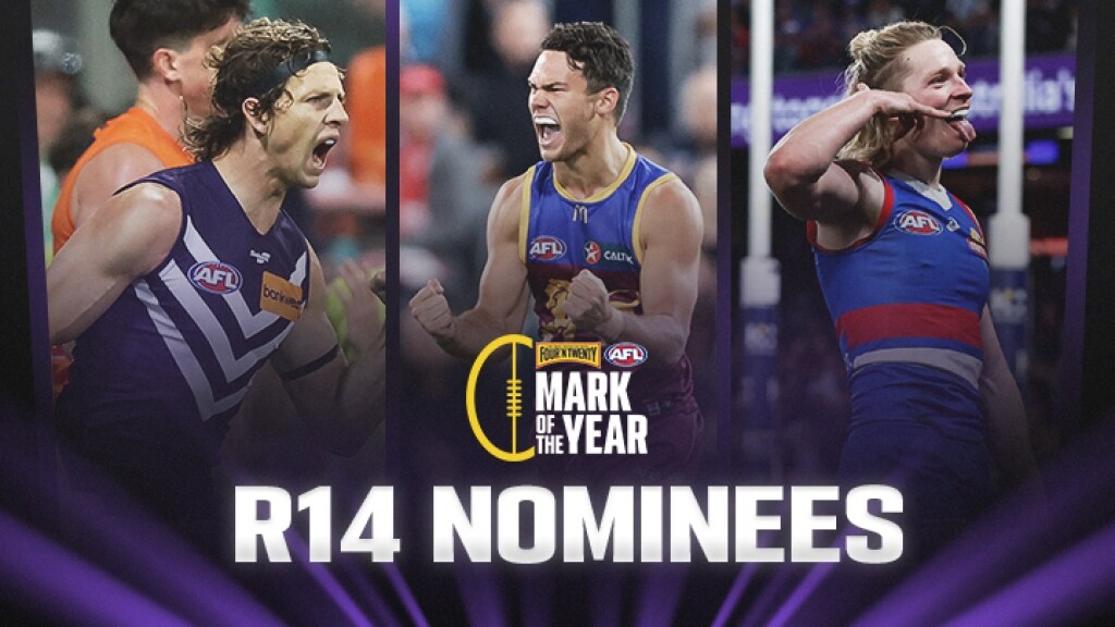 AFL Mark of the Year: Round 14