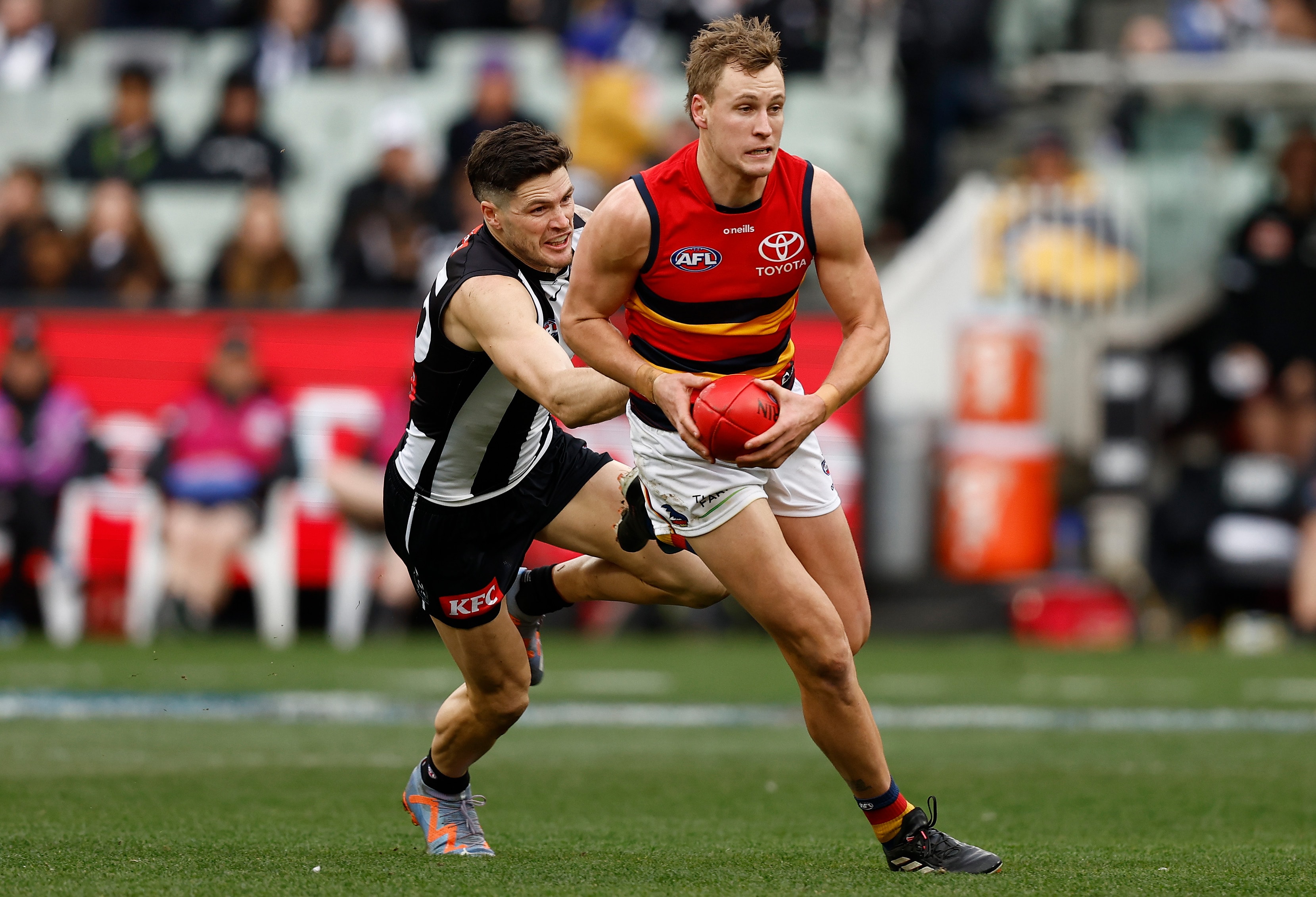 Umps missed late free kick to Dawson in Pies loss: AFL