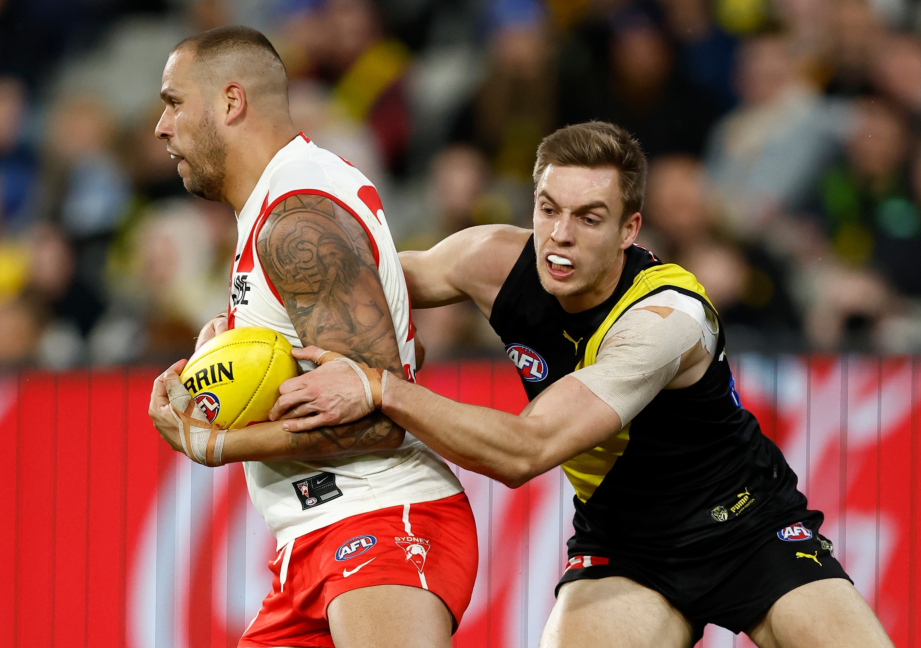 From North Albury to taking on Buddy: Rookie Tiger's wild journey