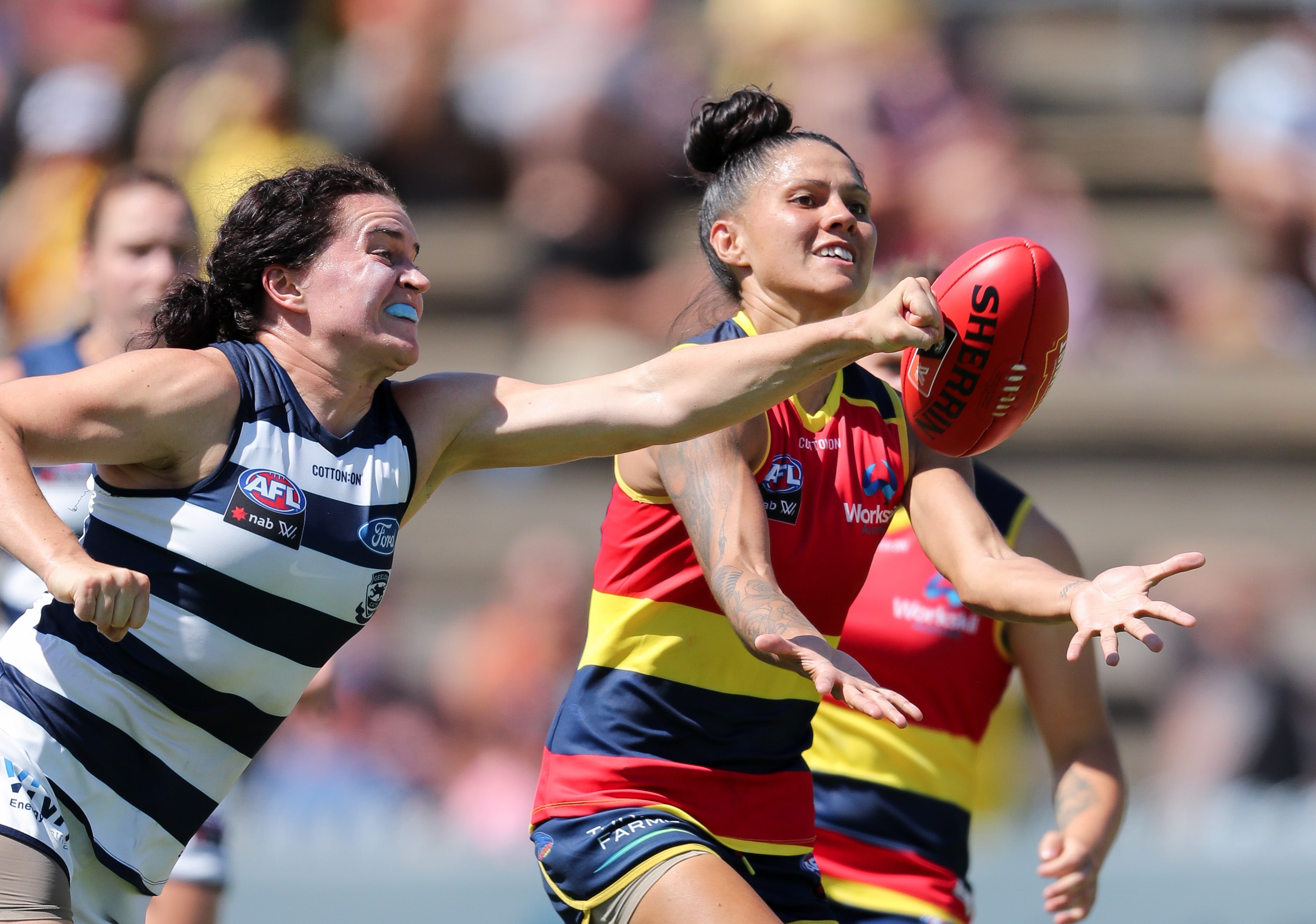 Preliminary finals locked in: Full venue and time info