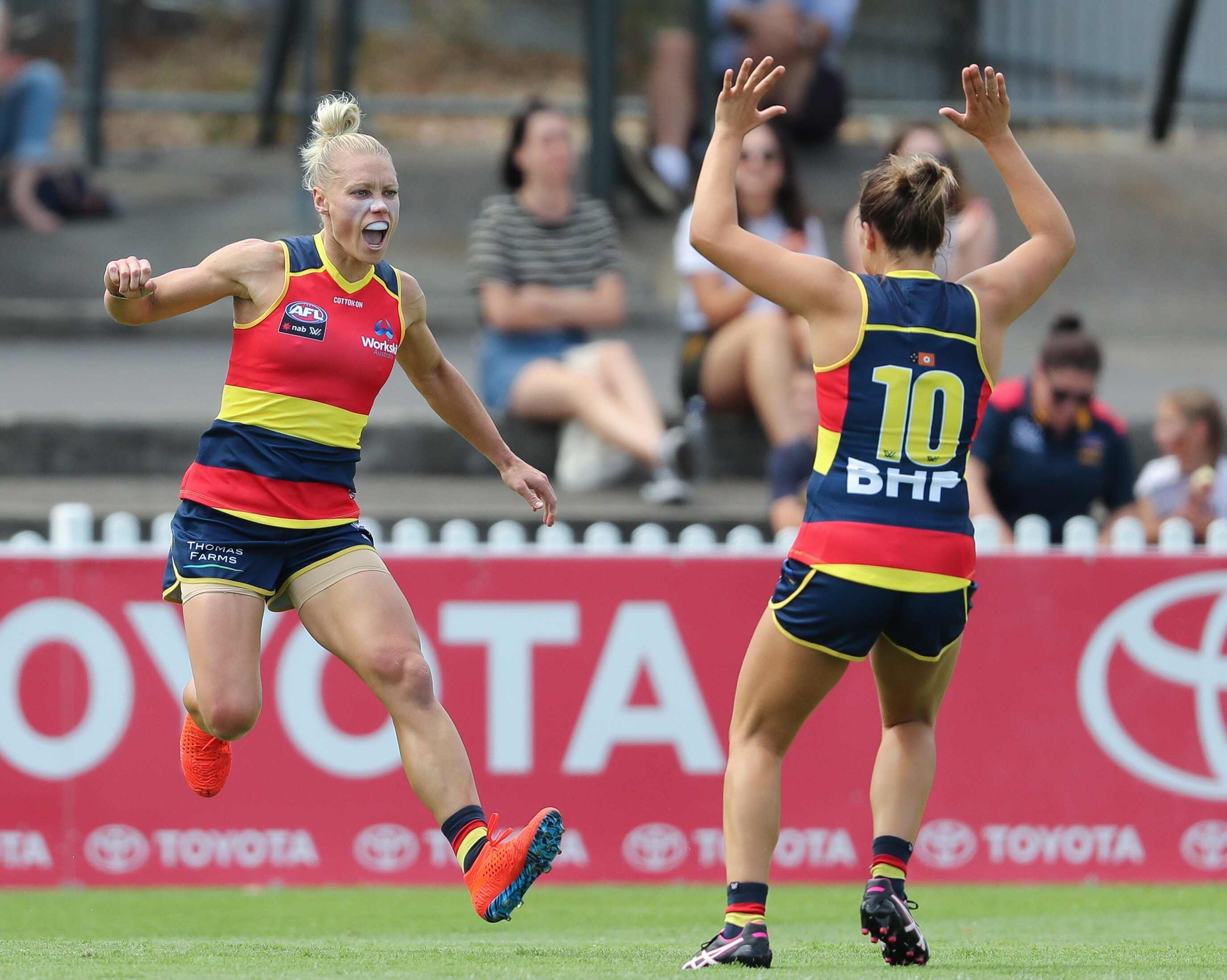 Match report: Red-hot Crows crush Cats