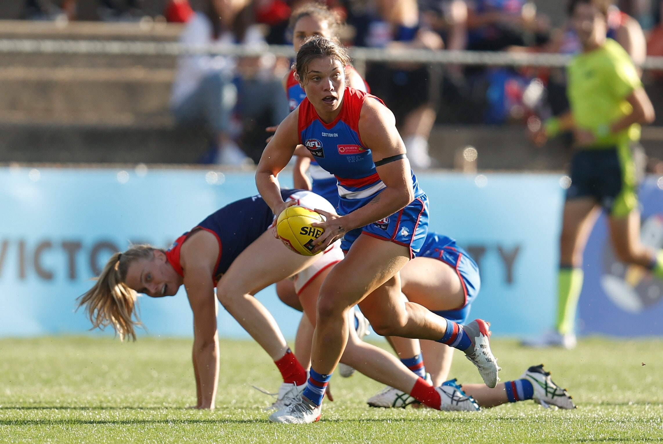 Dogs scratching for numbers as skipper ruled out