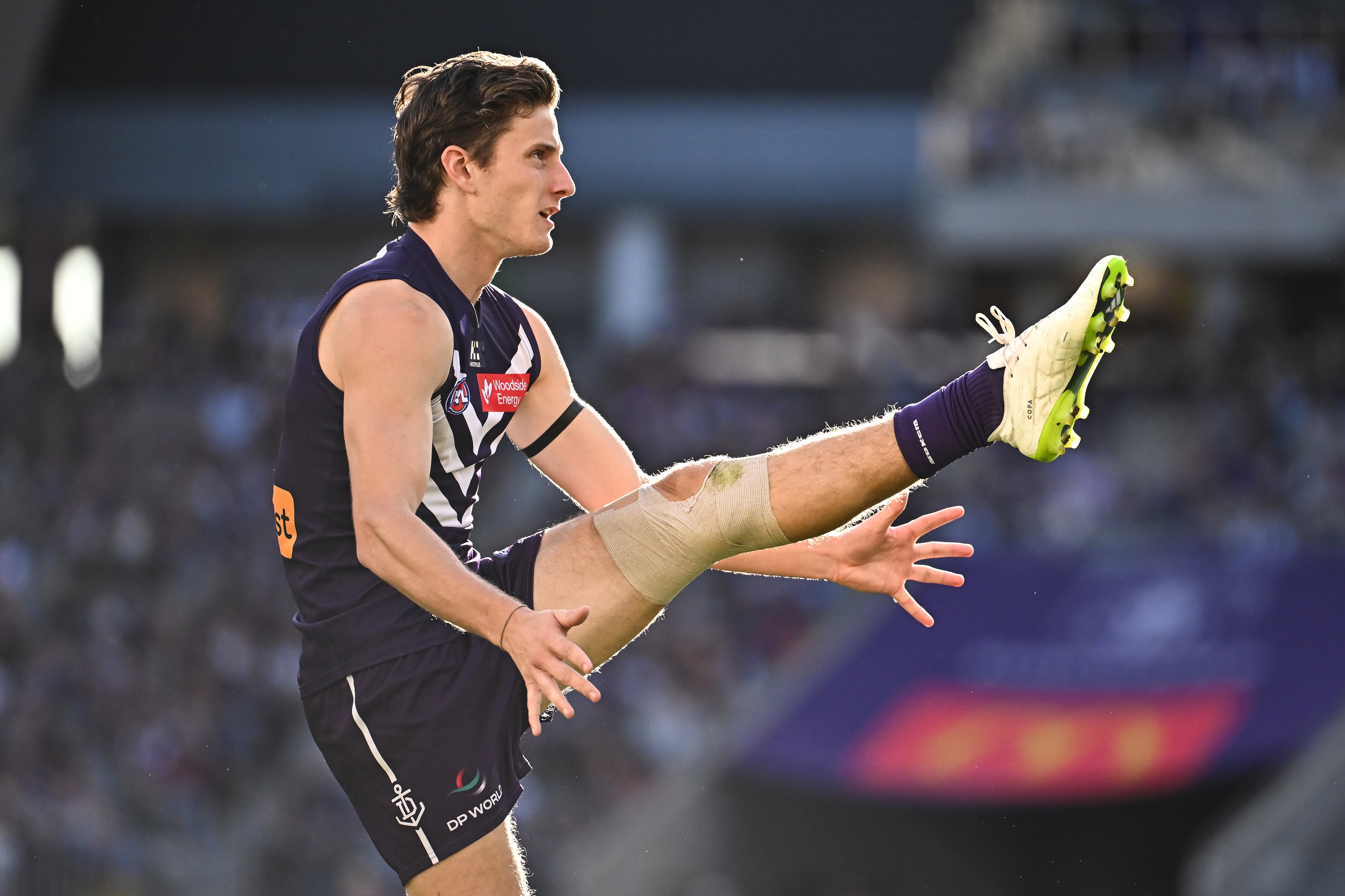 Freo forward ready to reach another gear after 'stressful' path to ...