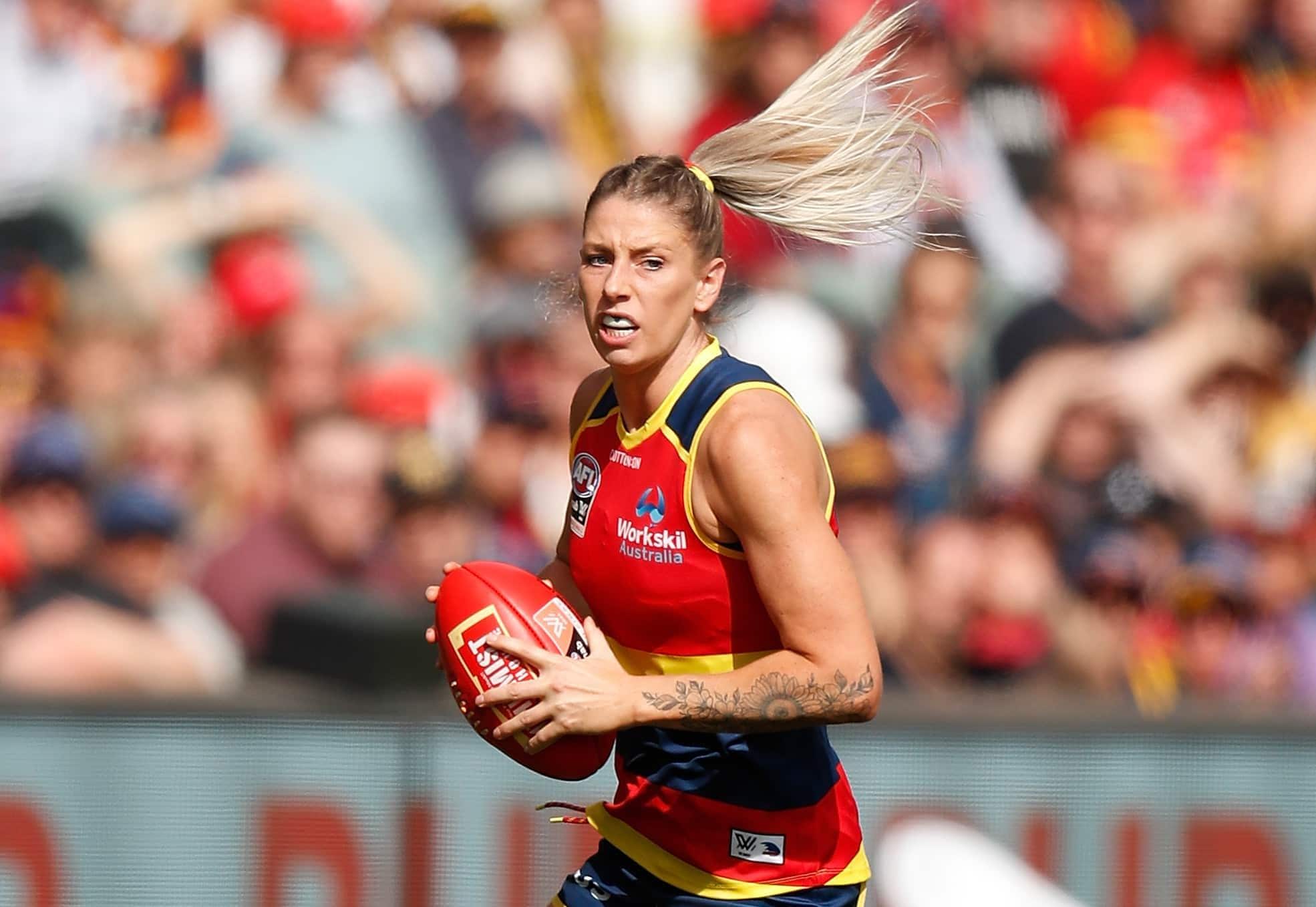 'A proven performer': Crows welcome back two-time premiership hero