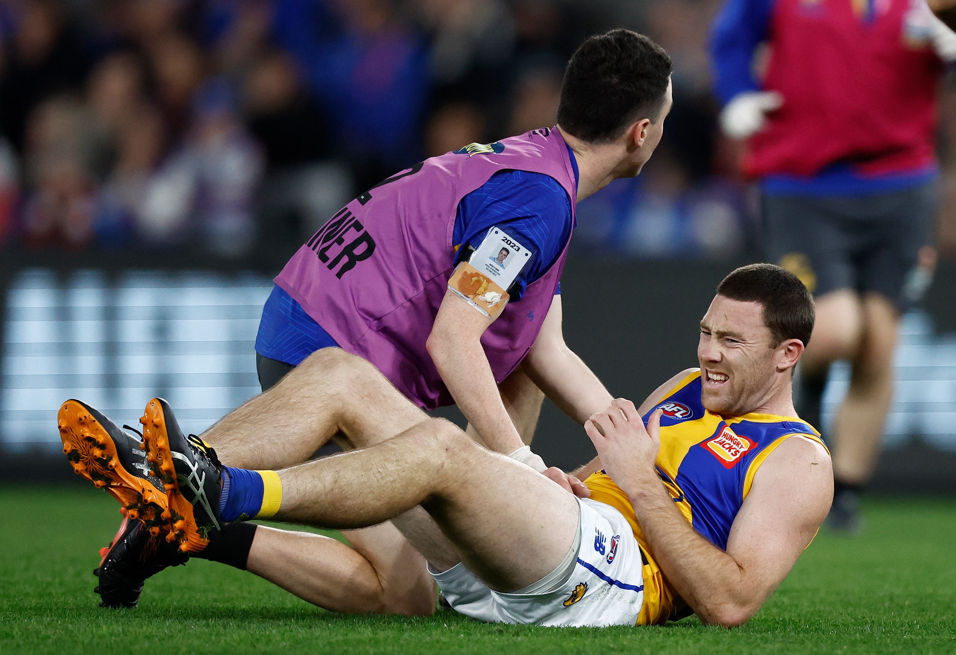 Medical room: The full AFL injury list, R24