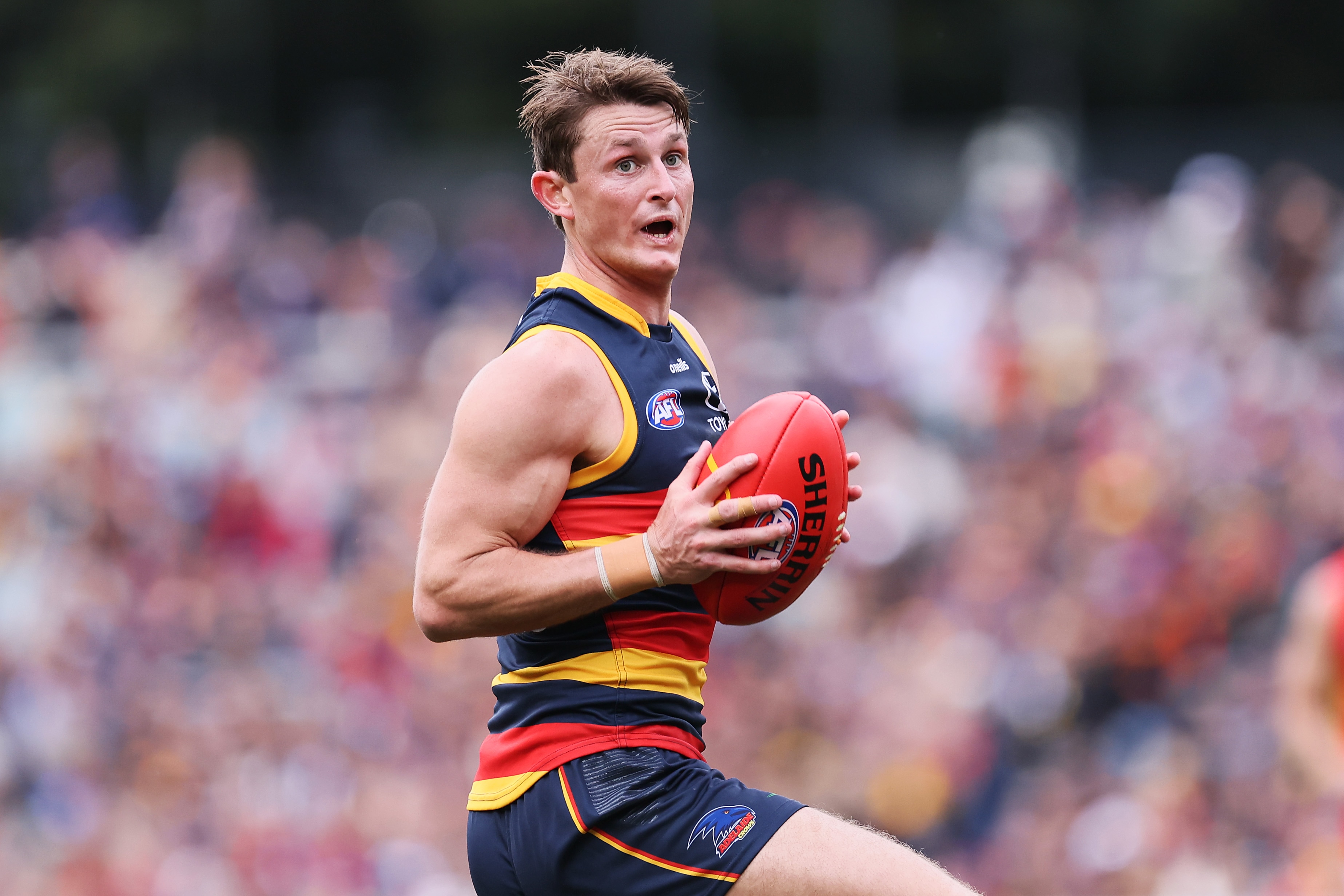 Reward for effort: The Crow who came in from the cold