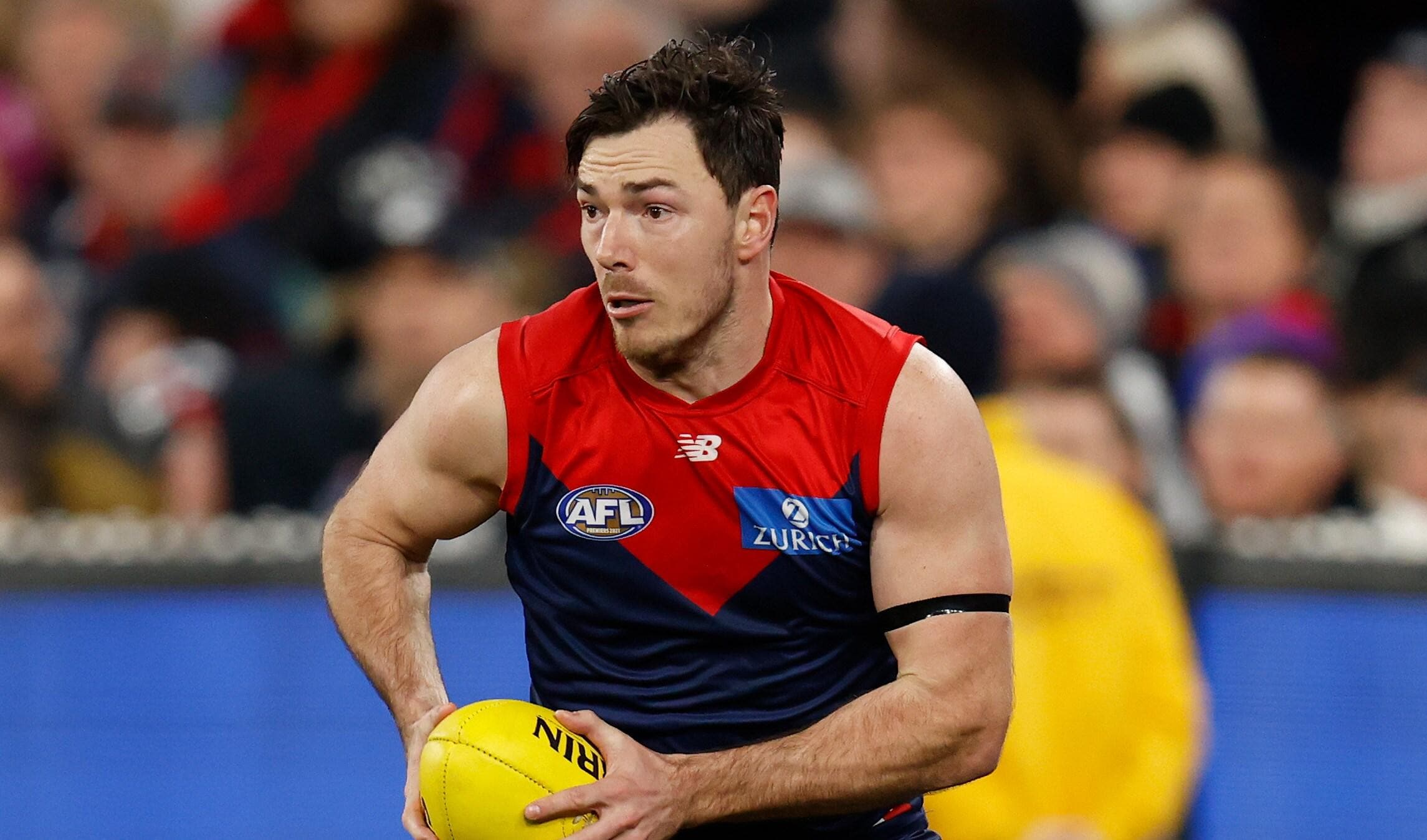 Demons defender to call time at season's end