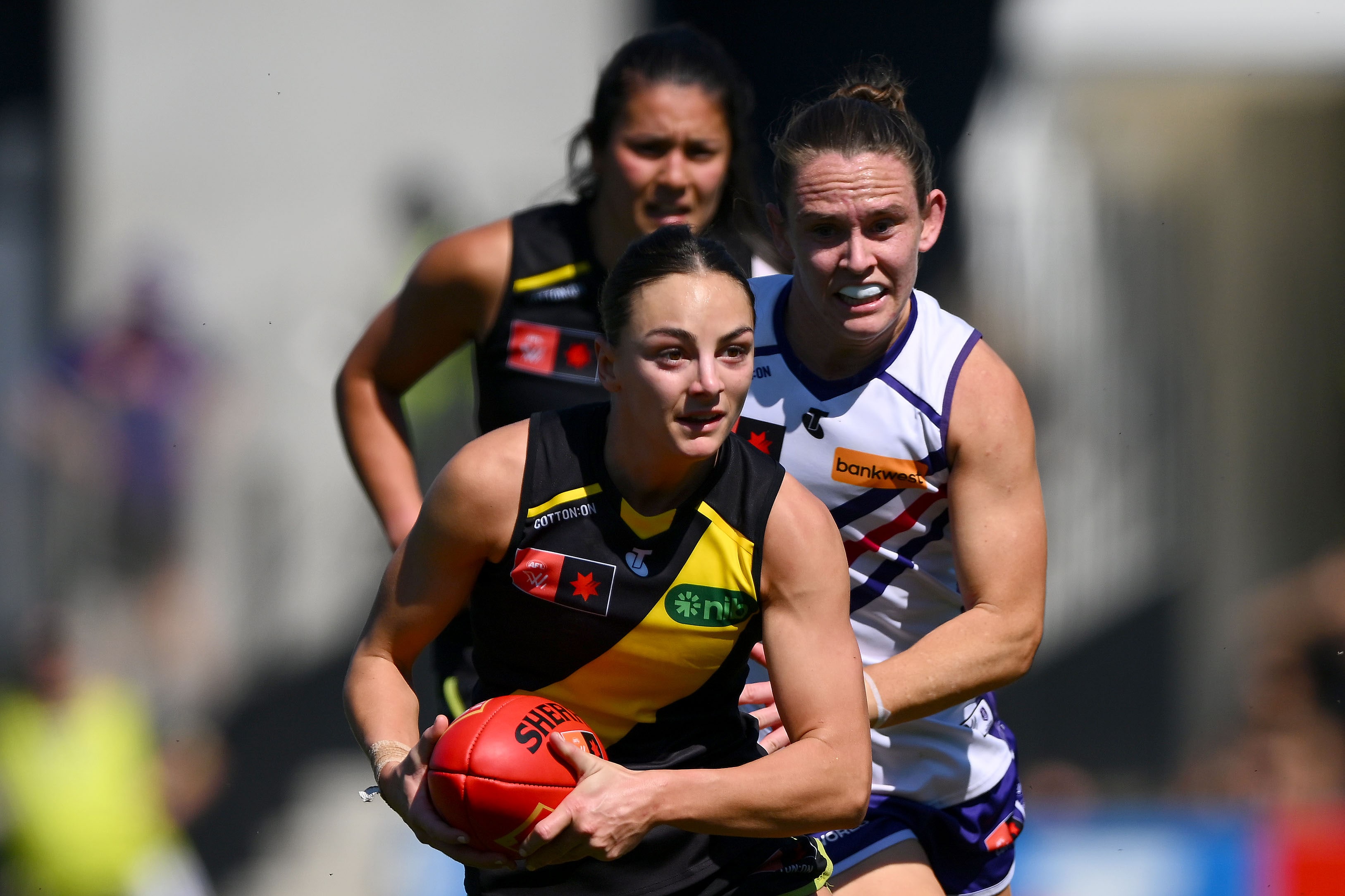 Coaches' votes, R5: Tiger, Demon closing on leading Roo