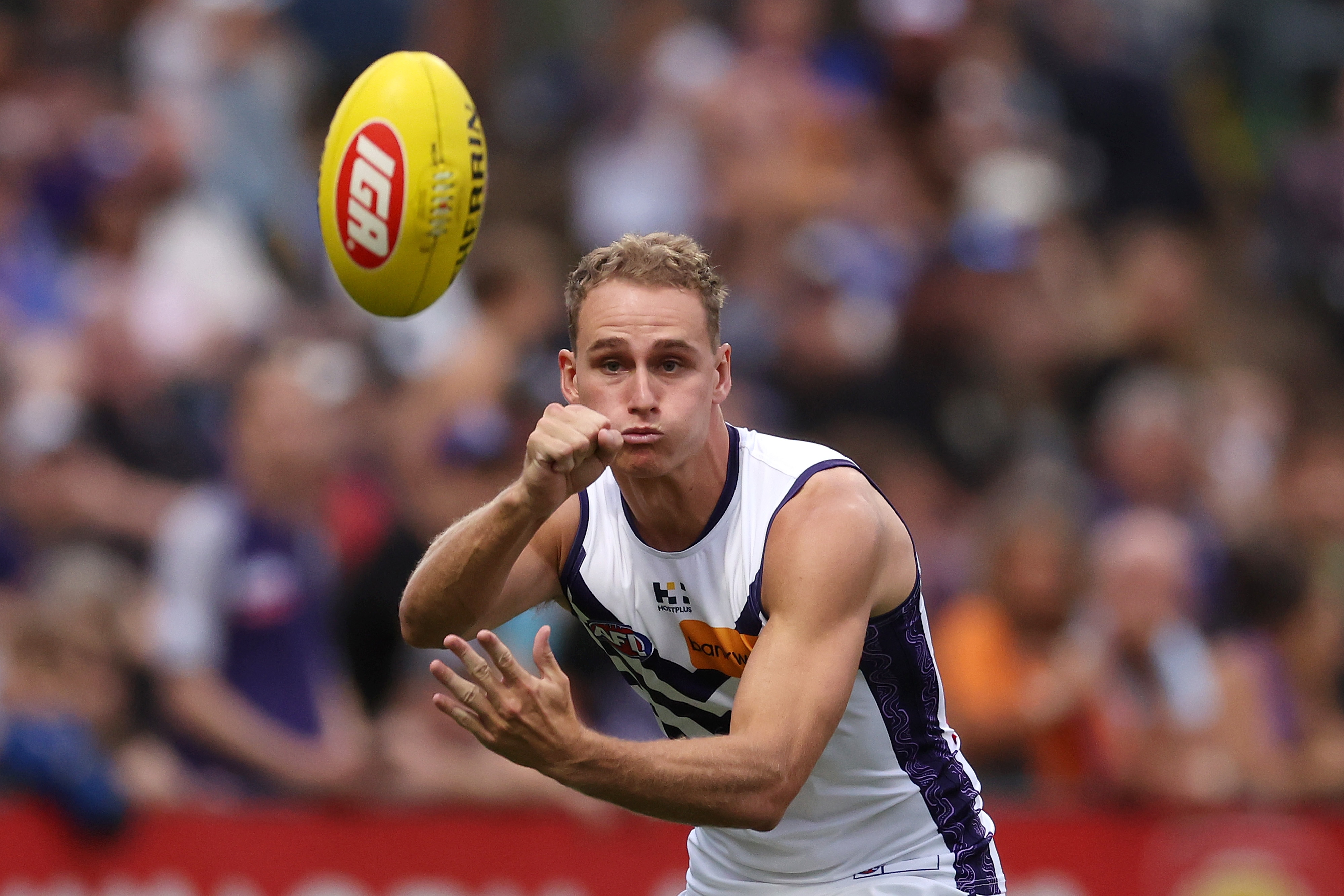 Stream your team: Watch VFL, SANFL and WAFL finals LIVE and FREE