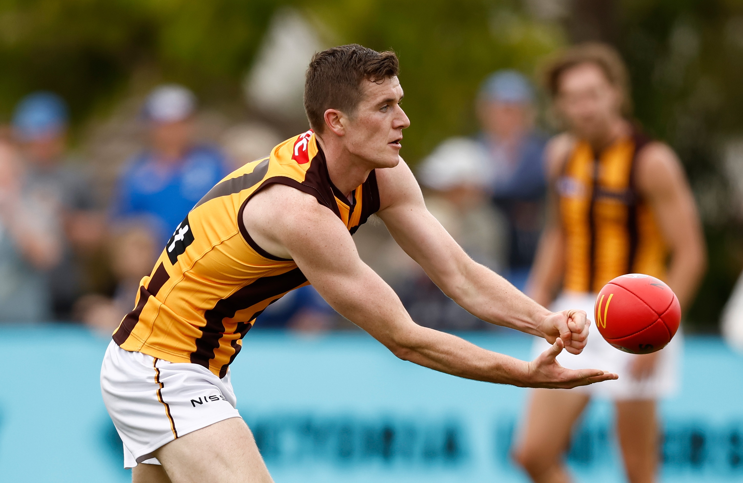 Hawks name debutant, defender to make long-awaited return