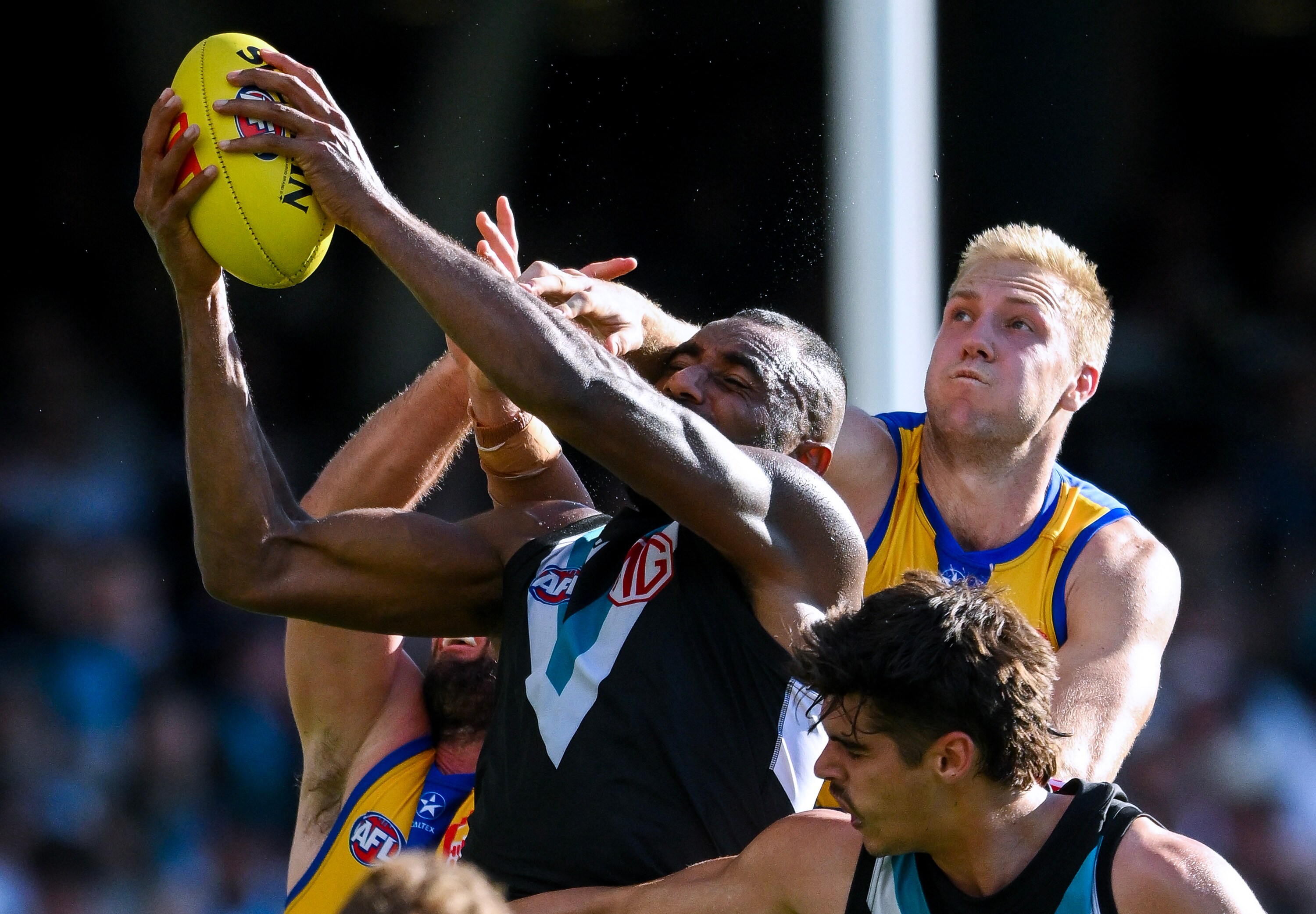 Timeline revealed for Eagles skipper, surgery for young mid