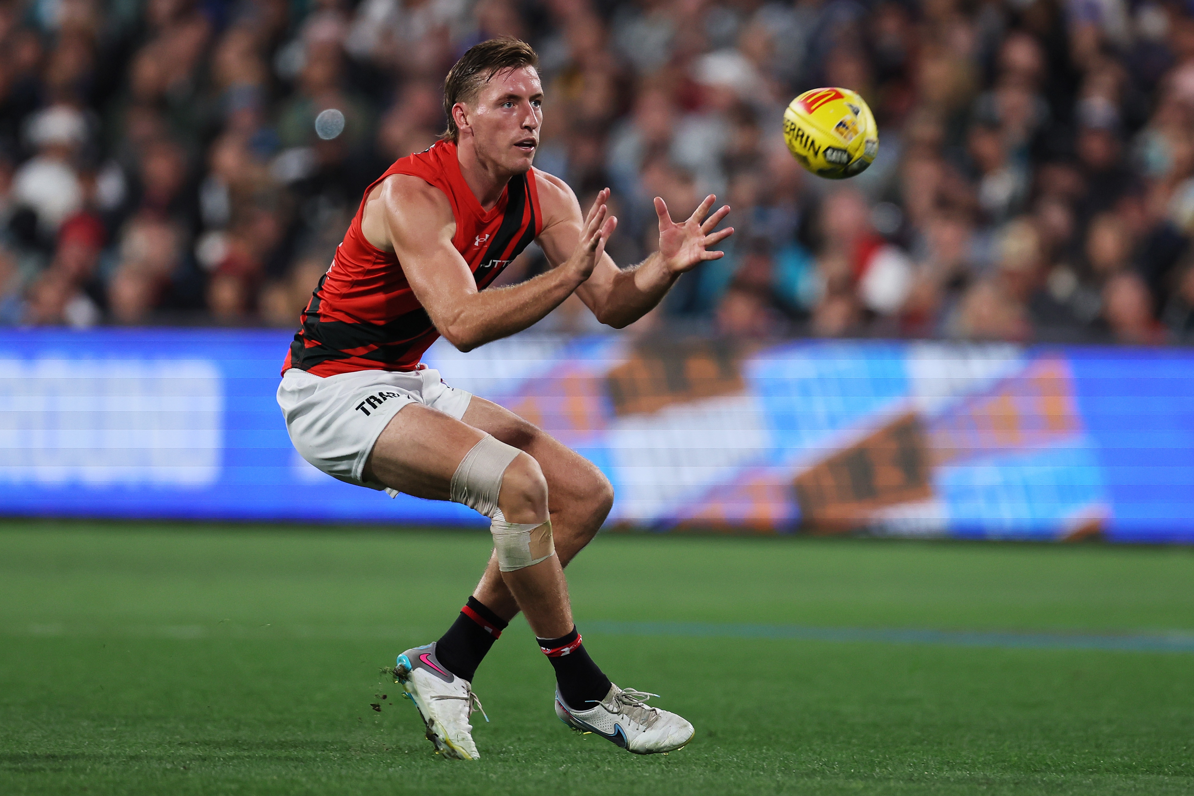 Stream your team: Watch all VFL games LIVE and FREE