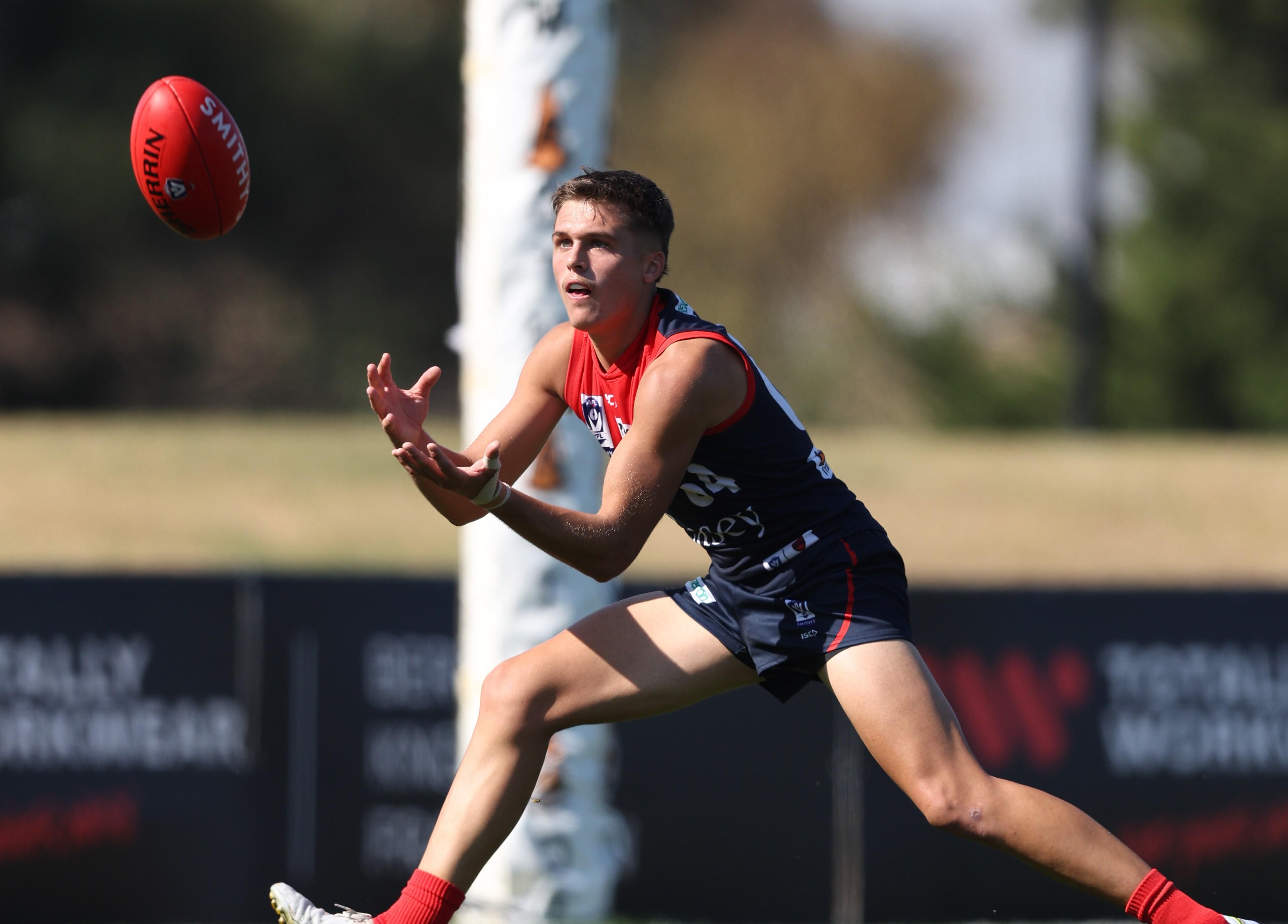 Demons sign Casey forward following May's retirement