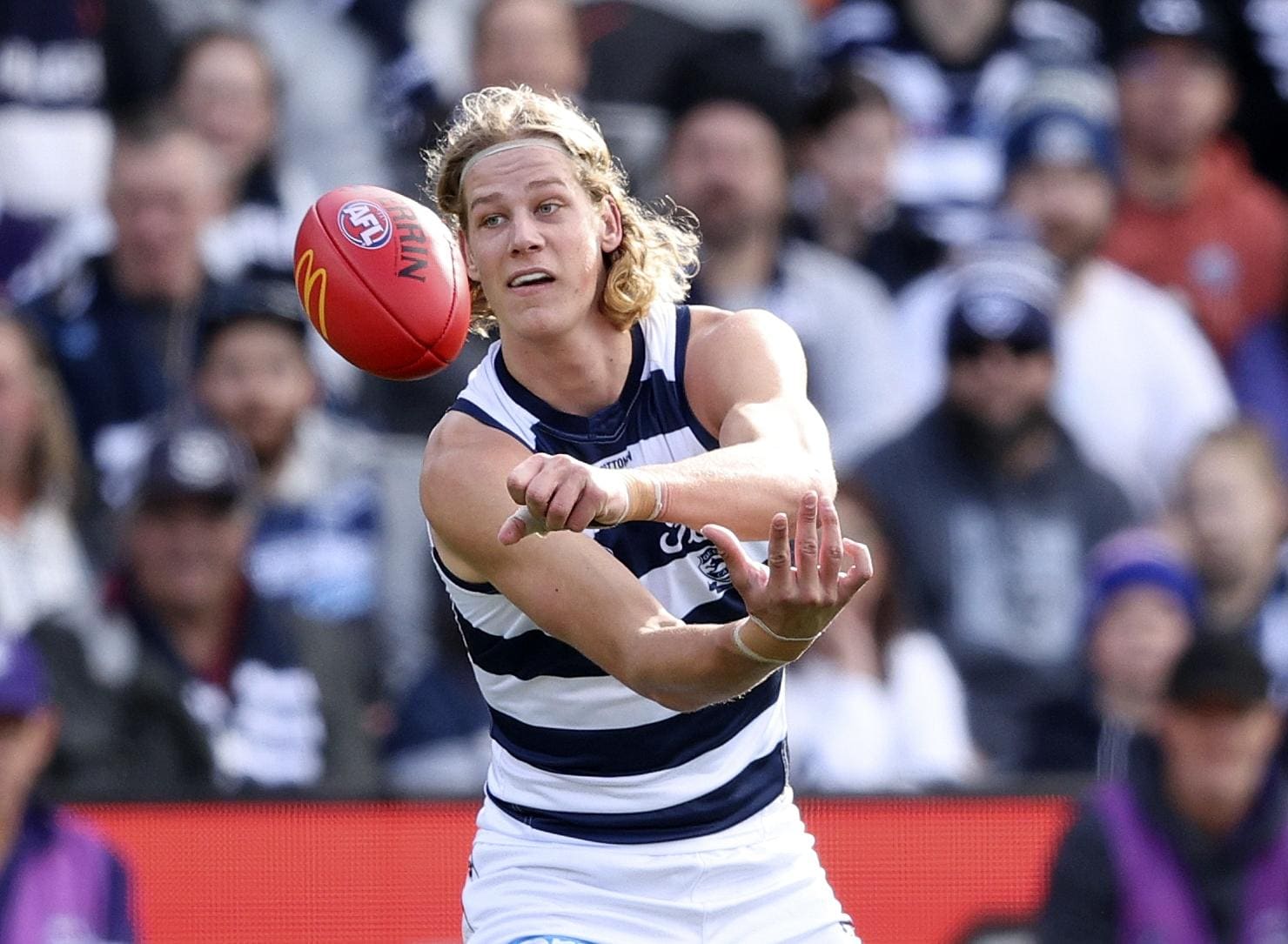 The Cats milestone that took his coach by surprise