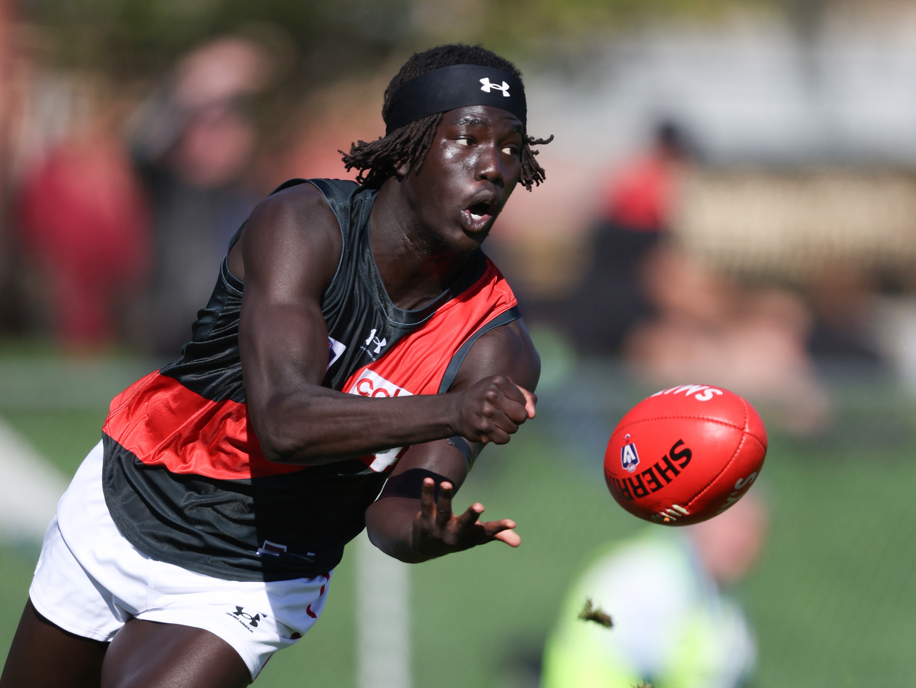 2024 Smithy's VFL Season Review - Essendon