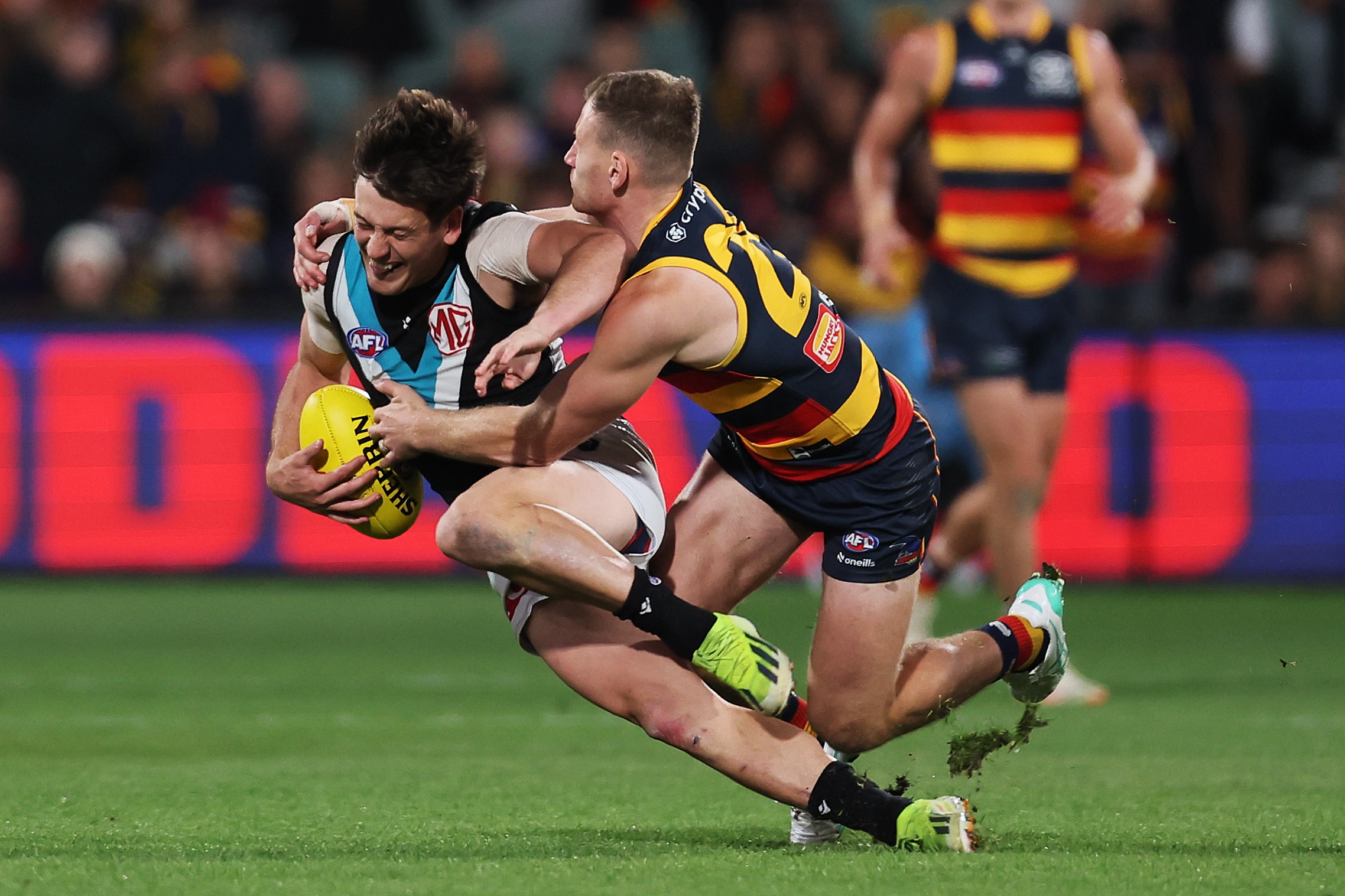 Taking flight? How Crows have started to turn form around