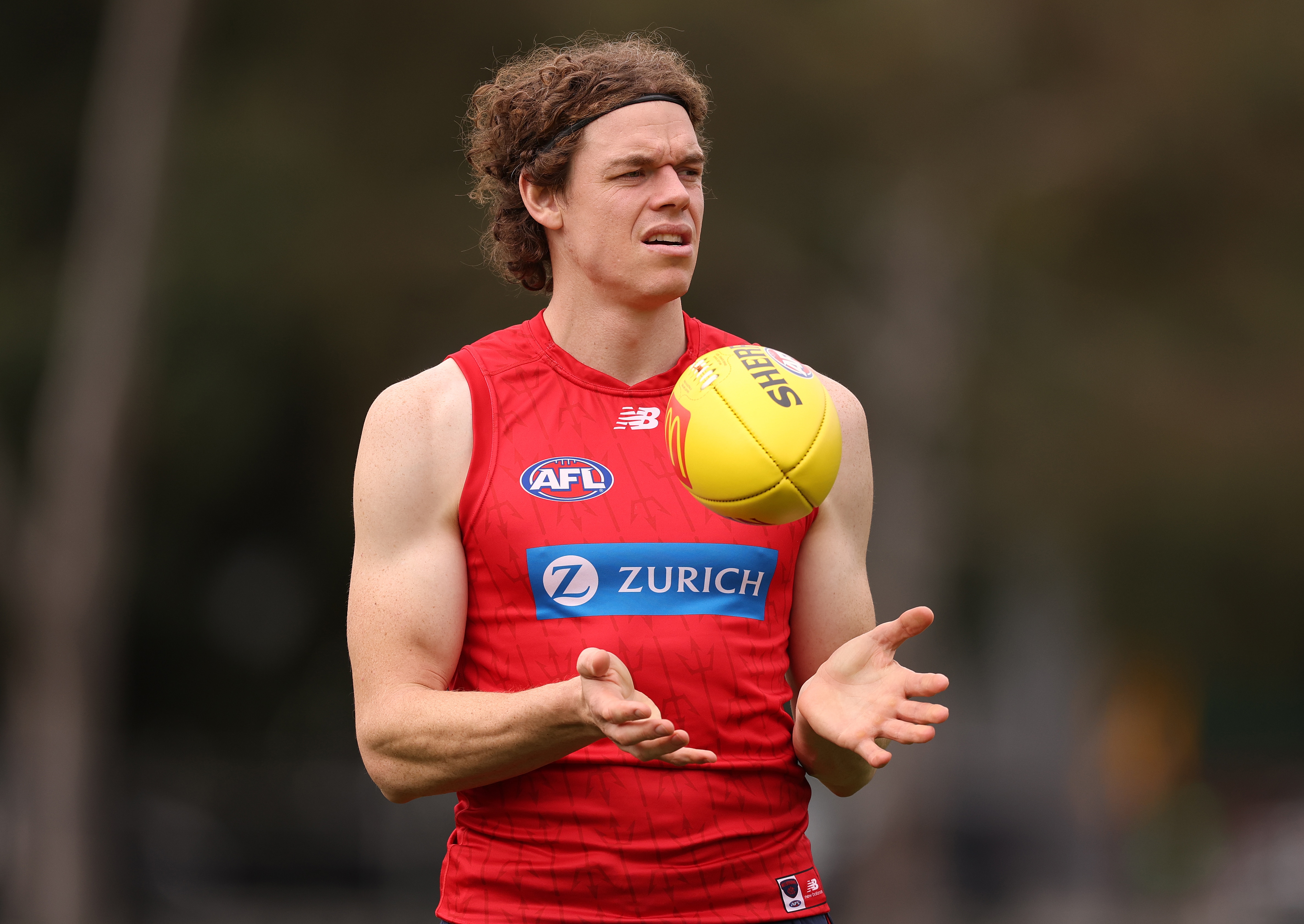 Premiership Demon joins Bombers in leading AFLW role