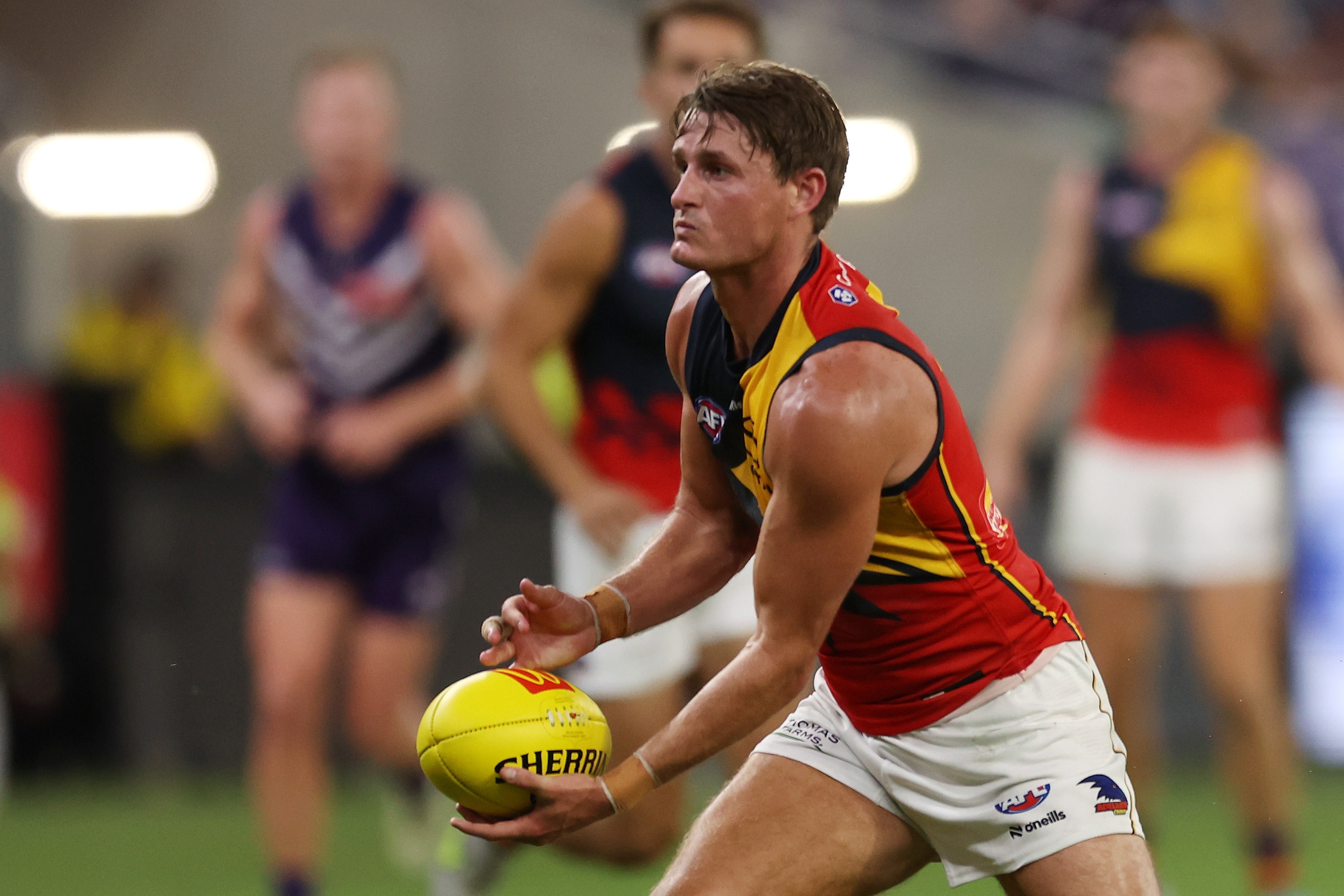 How Crows' competitive beast exploded back into AFL favour