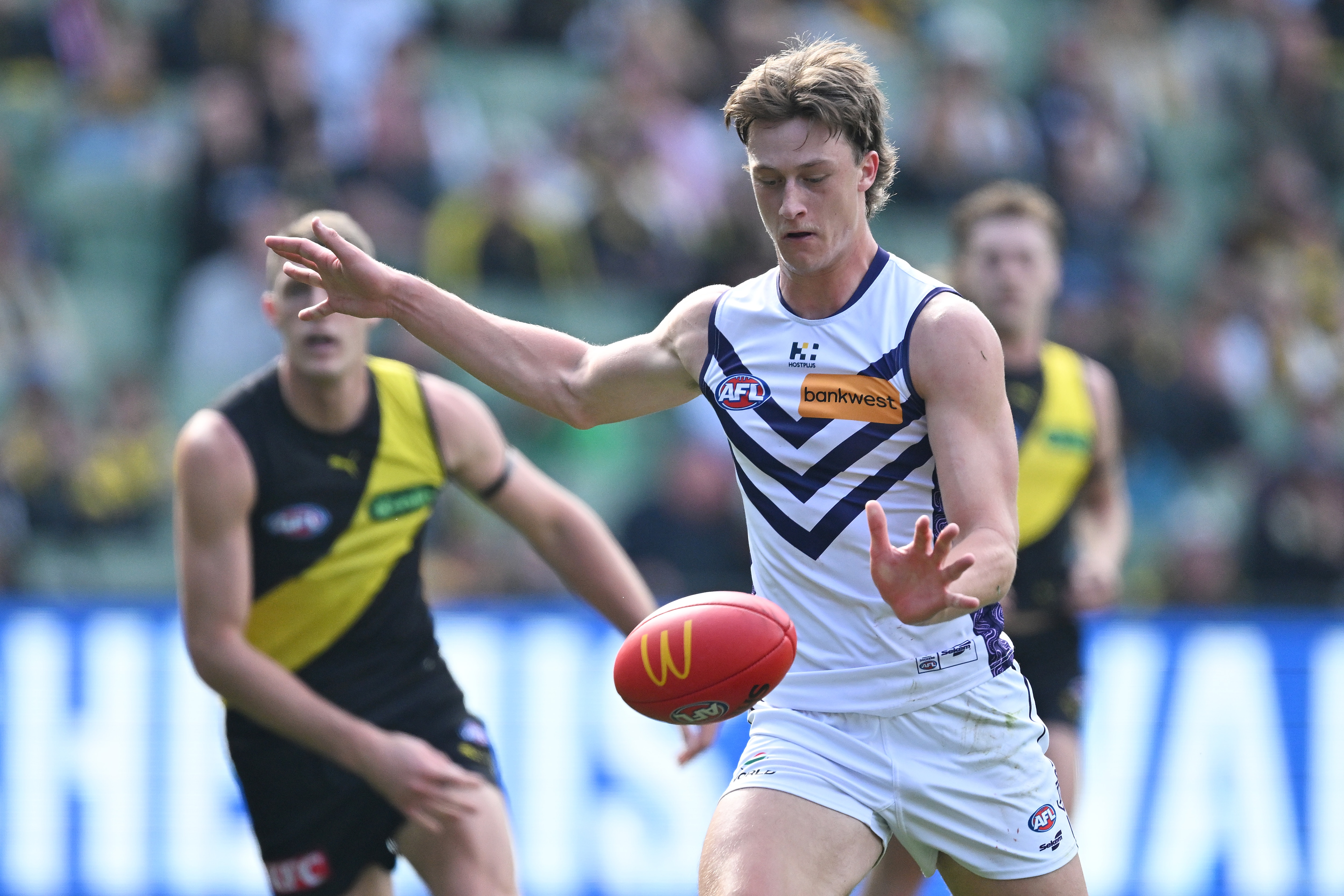 Freo has 'big concerns' over forward's treatment, Tigers 'frustrated'