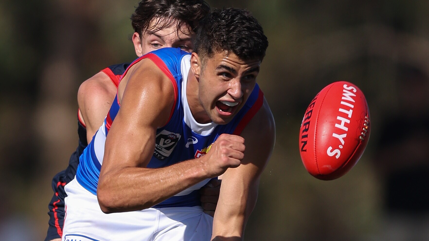 Another Dog to debut, under-siege Beveridge 'oblivious' to criticism