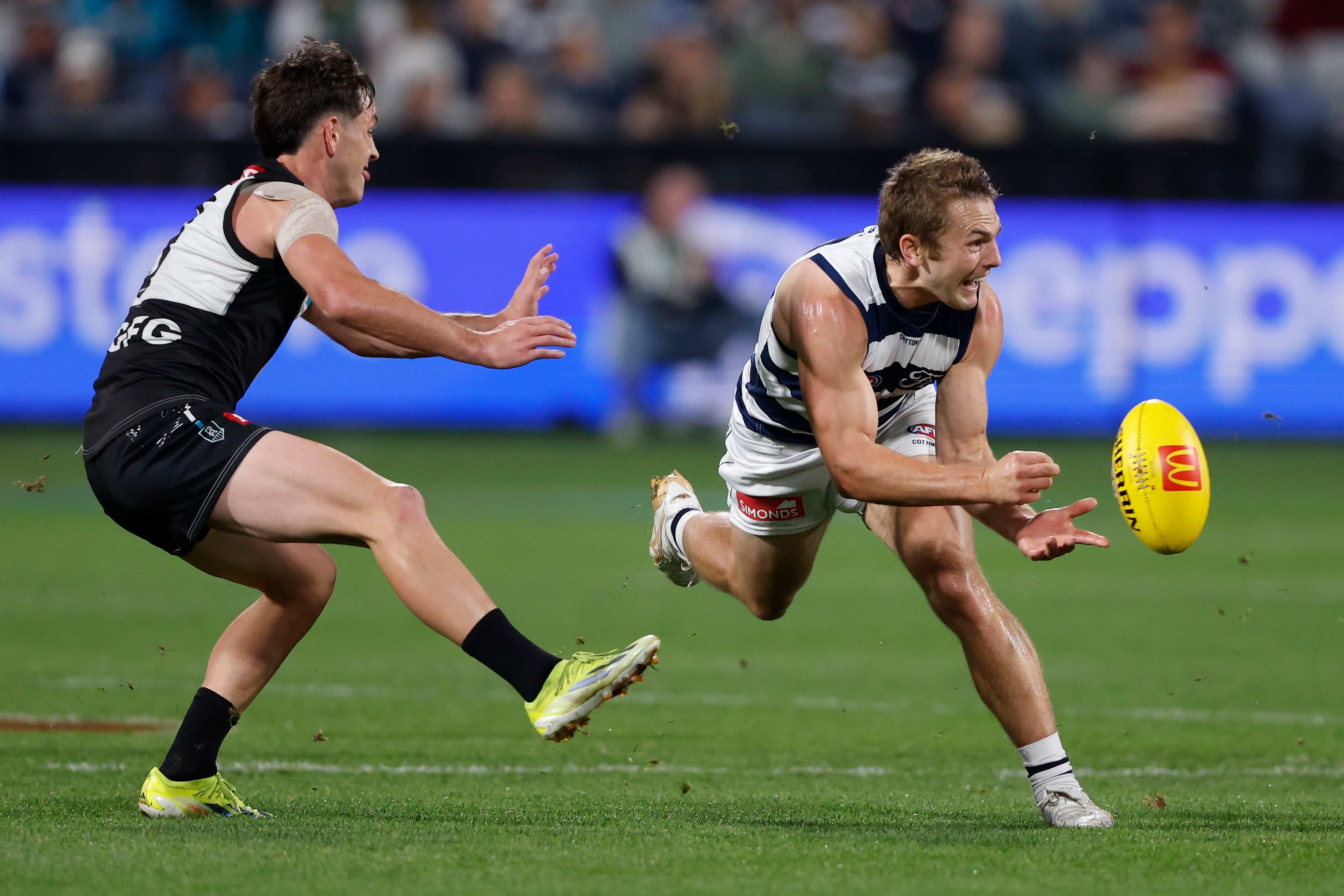 MATCH REVIEW: Cat charged with tripping