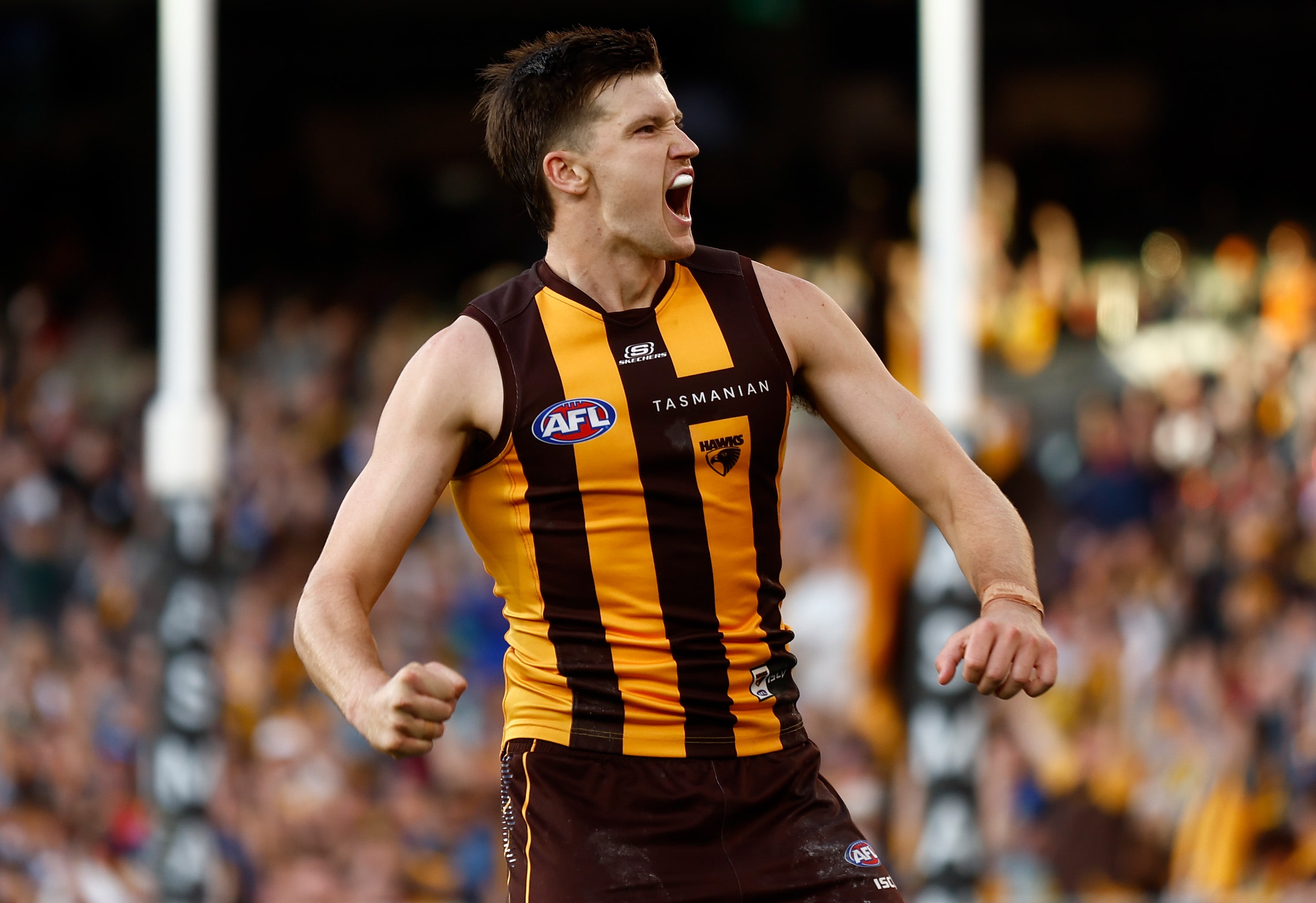 Hawks consider Lewis recall, small forward on track to make VFL return