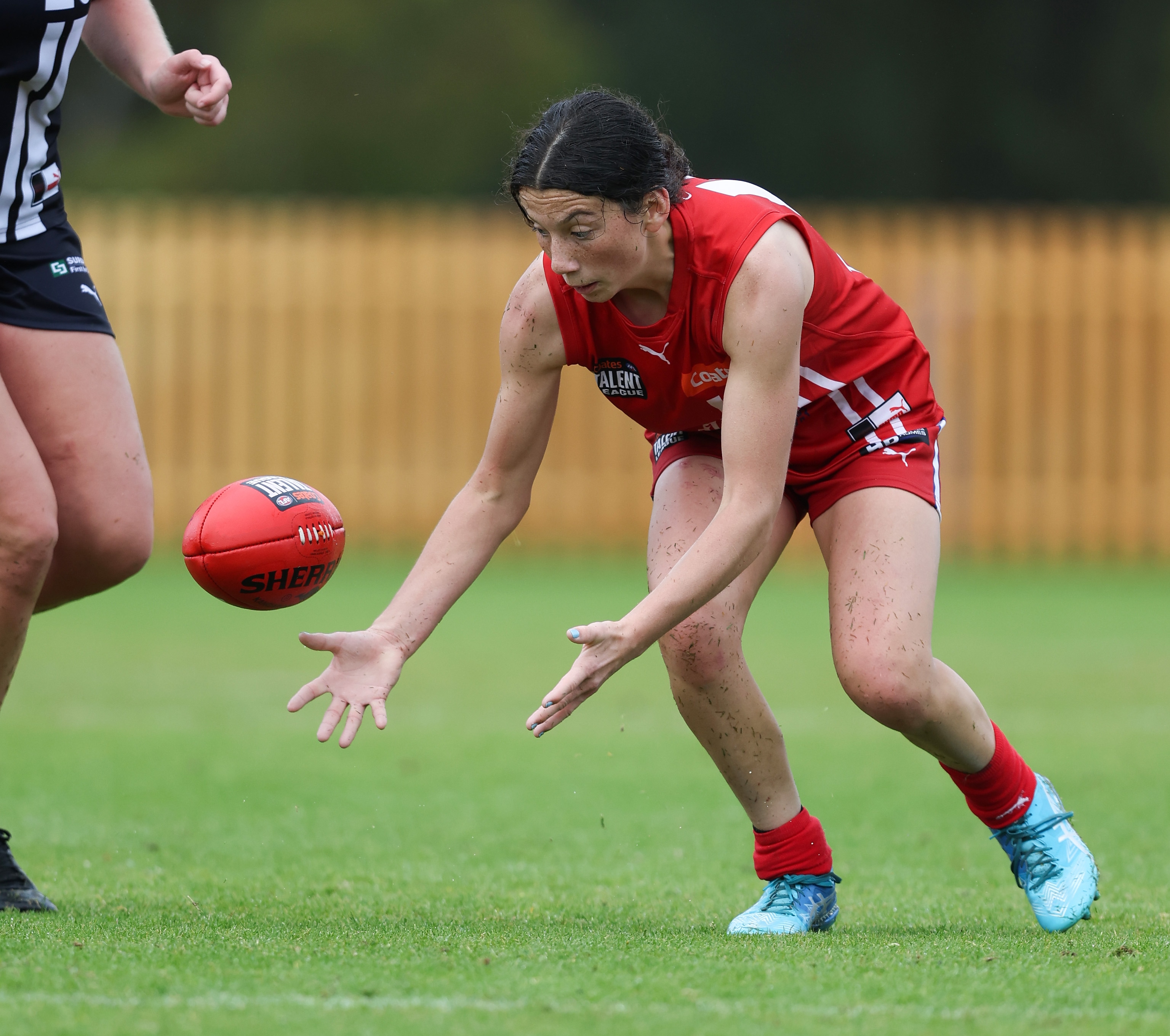 TEAMS: Coates Talent League Girls Round 8