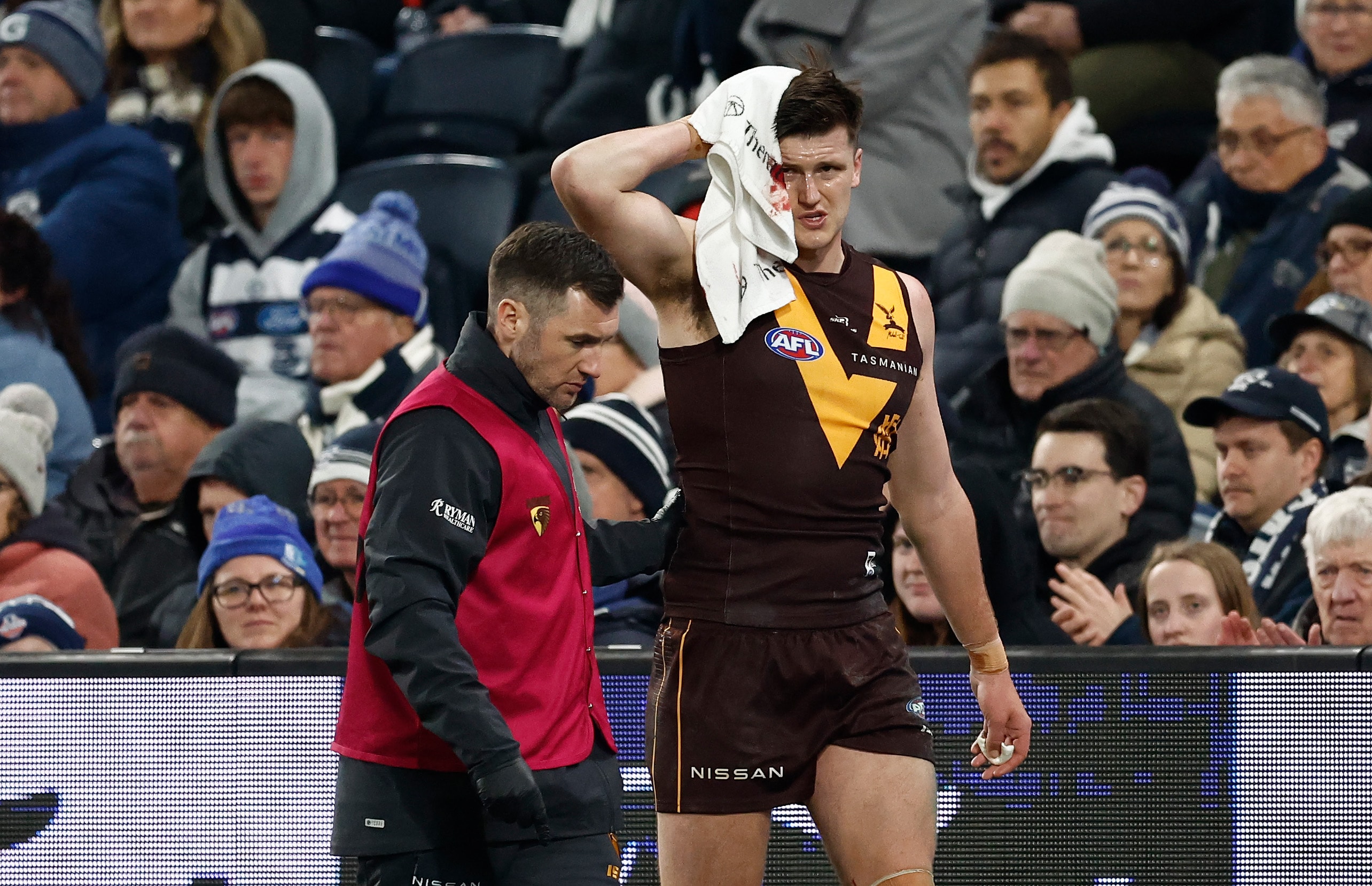 Hawks hopeful on 'battered' forward, Cats explain Danger subbing