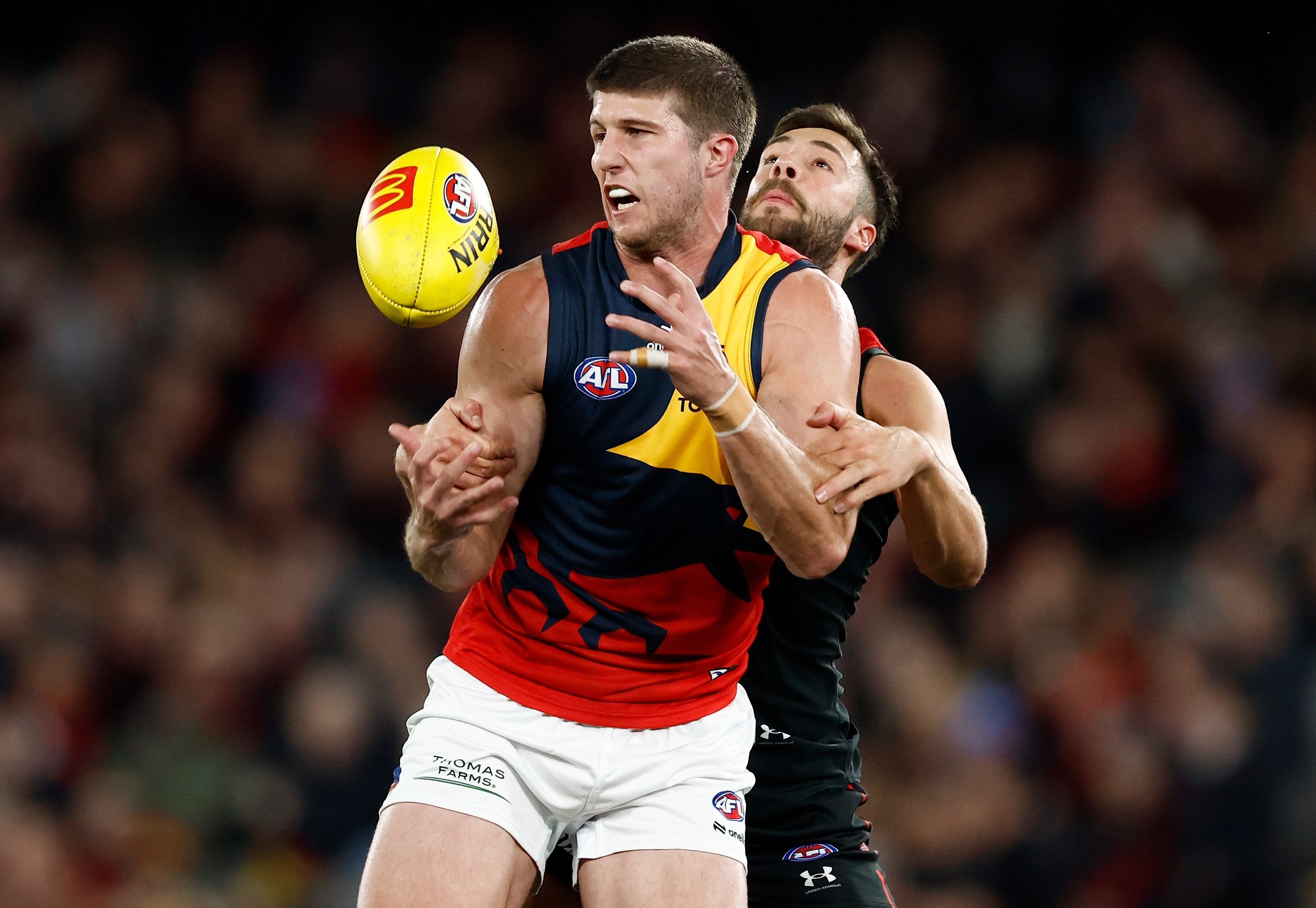 Foot injury sidelines Crows defender, Murray cleared of serious knee damage