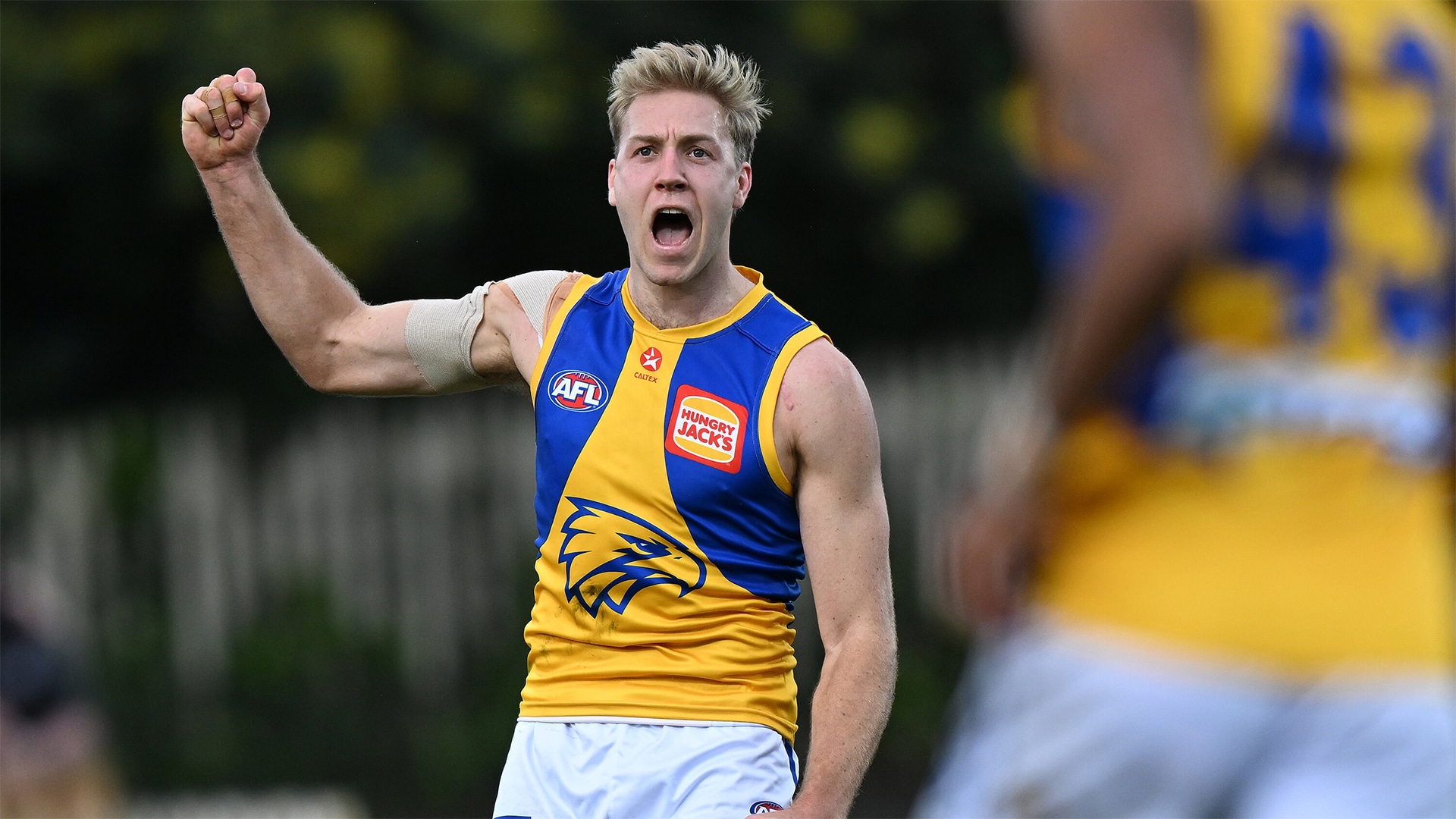 Star Eagles forwards in talks for long-term deals