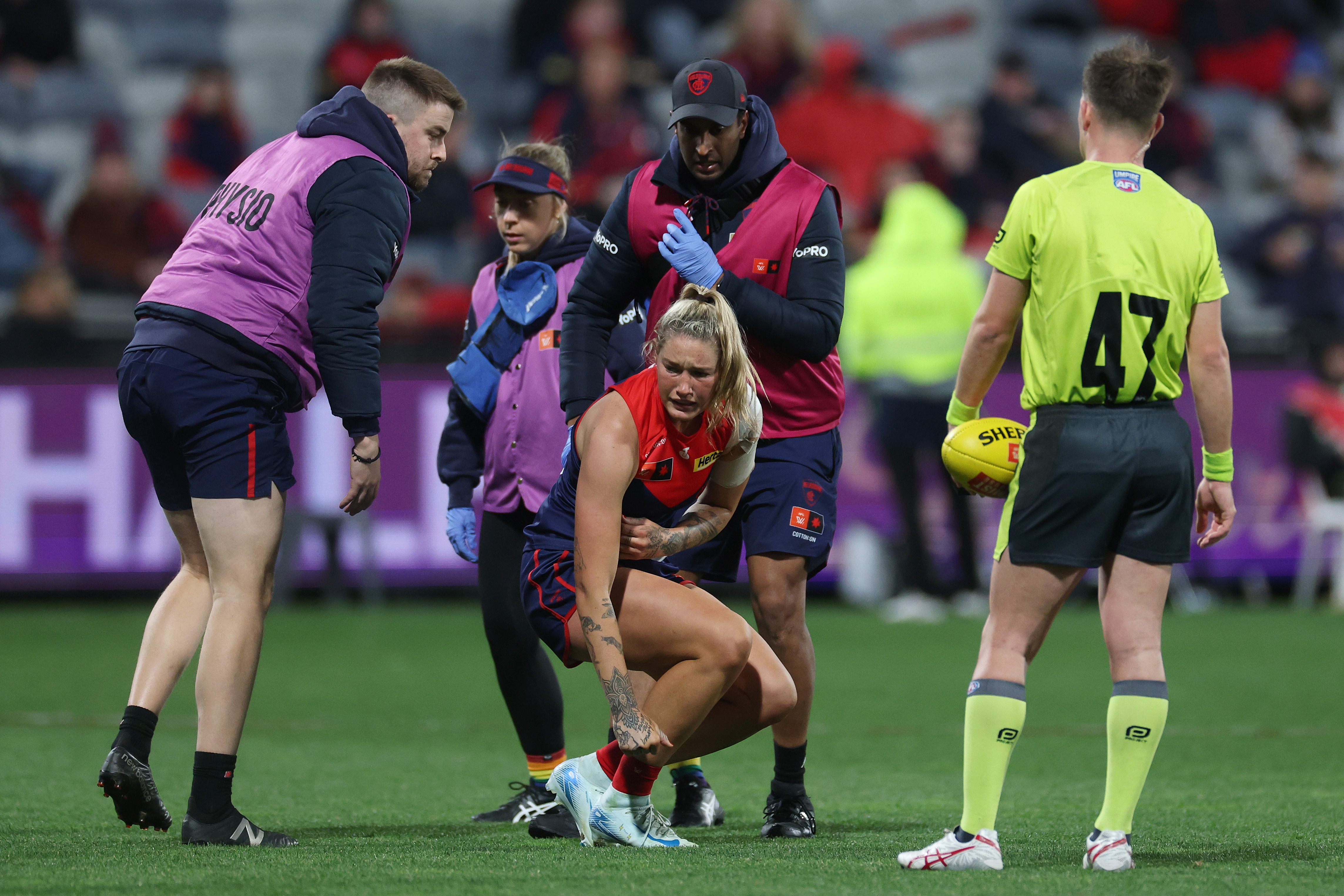 Demon done: Harris ruled out of entire season