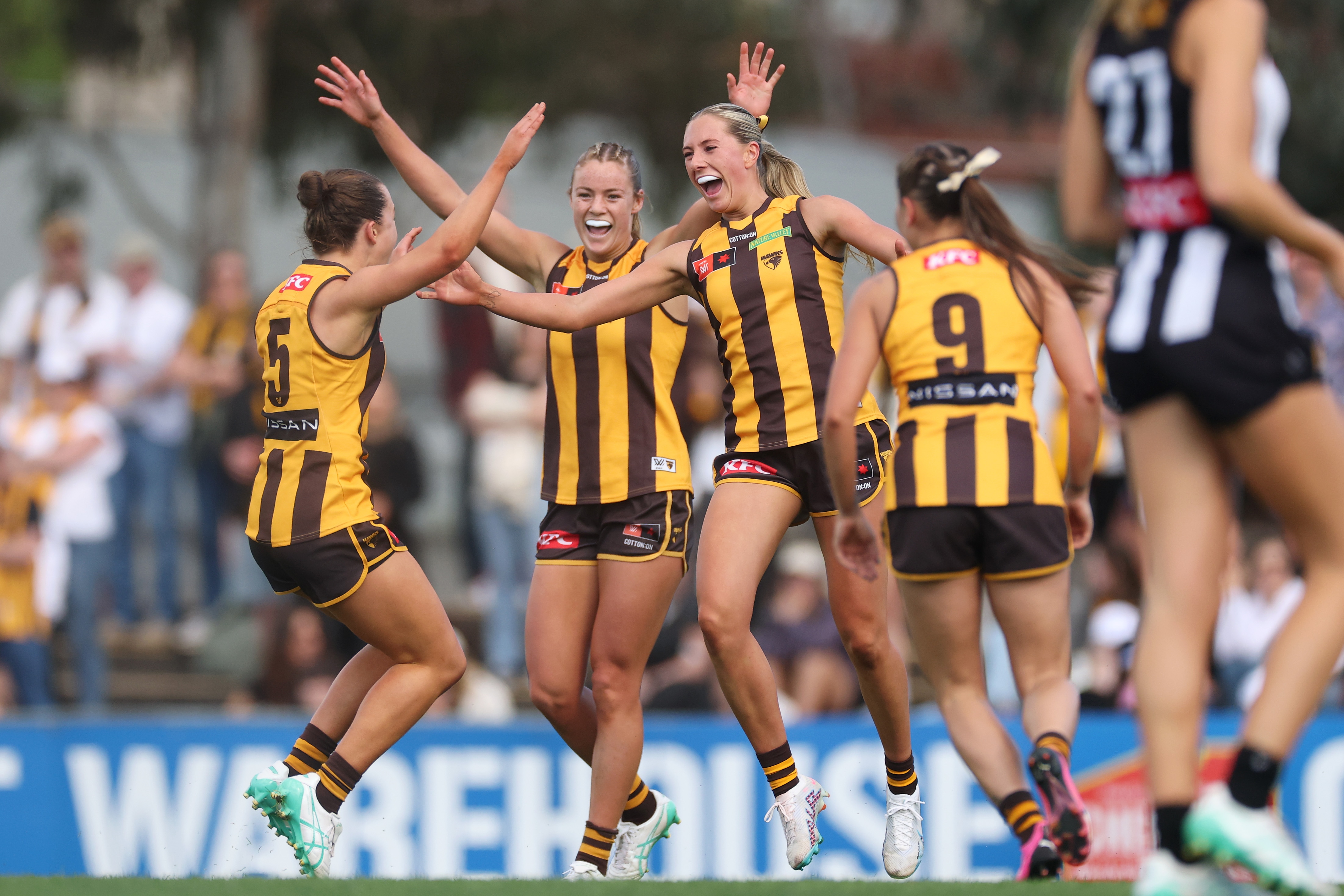 Hawks on the rise, Swans lead the way in race for McClelland Trophy
