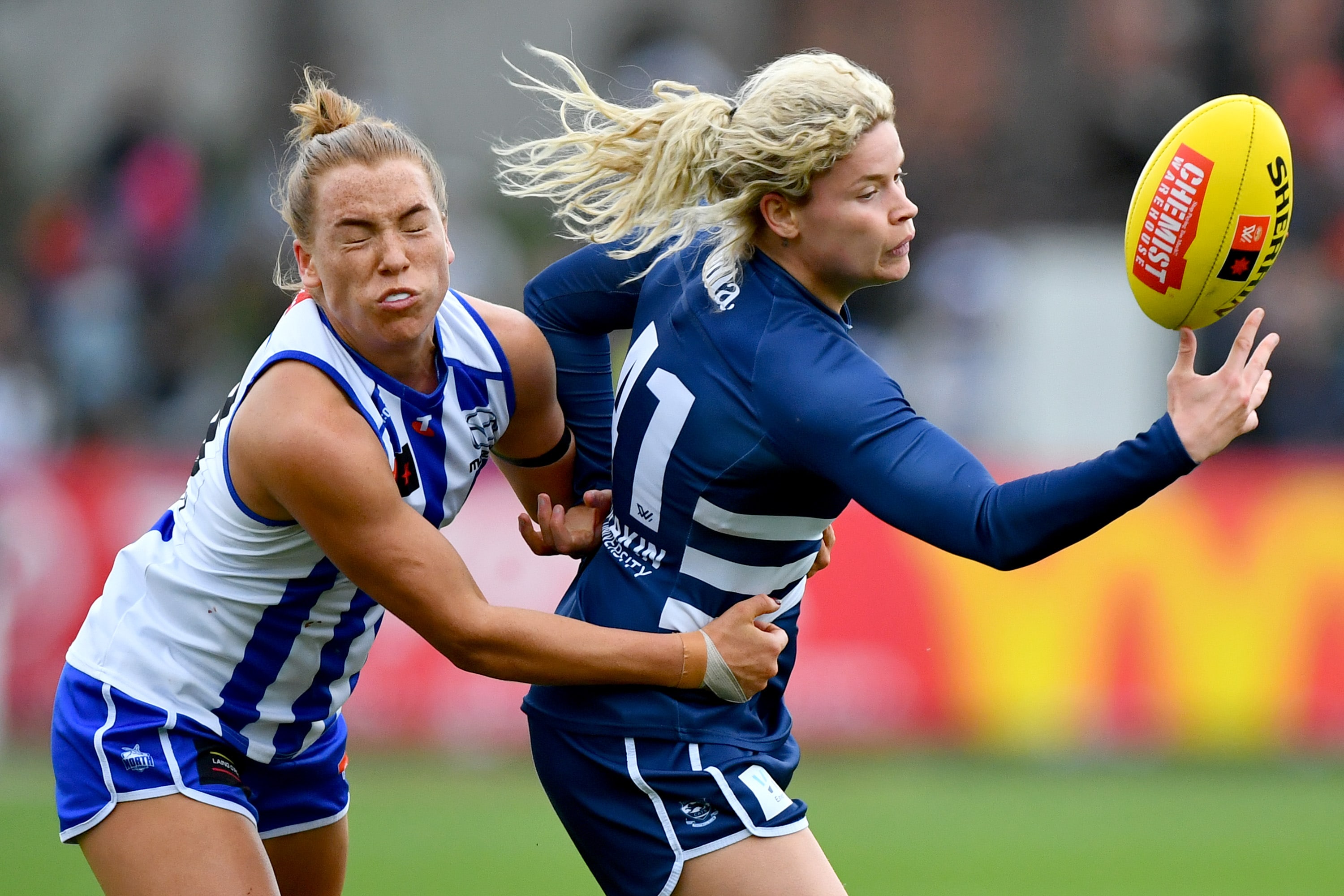 Brilliant Bowen earns Cats remarkable draw with Roos