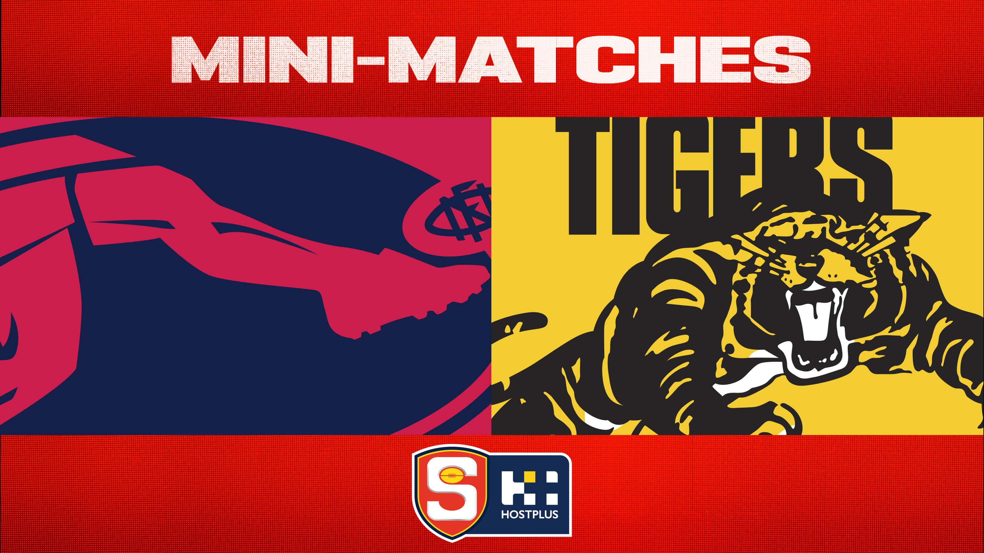 SANFL Mini-Match, GF: Norwood v Glenelg